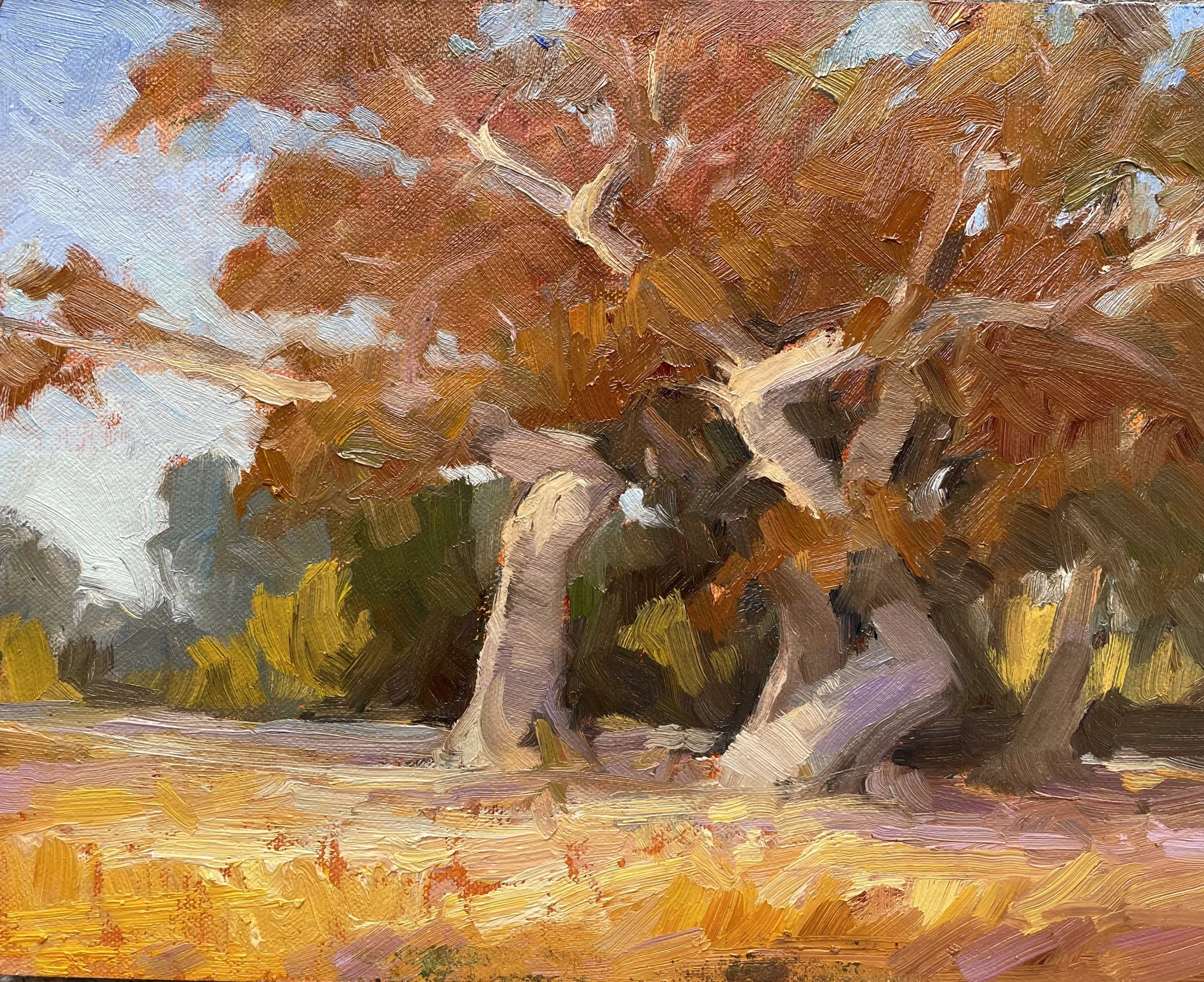 Steven McDonald Fine Art — Studio Seven Arts