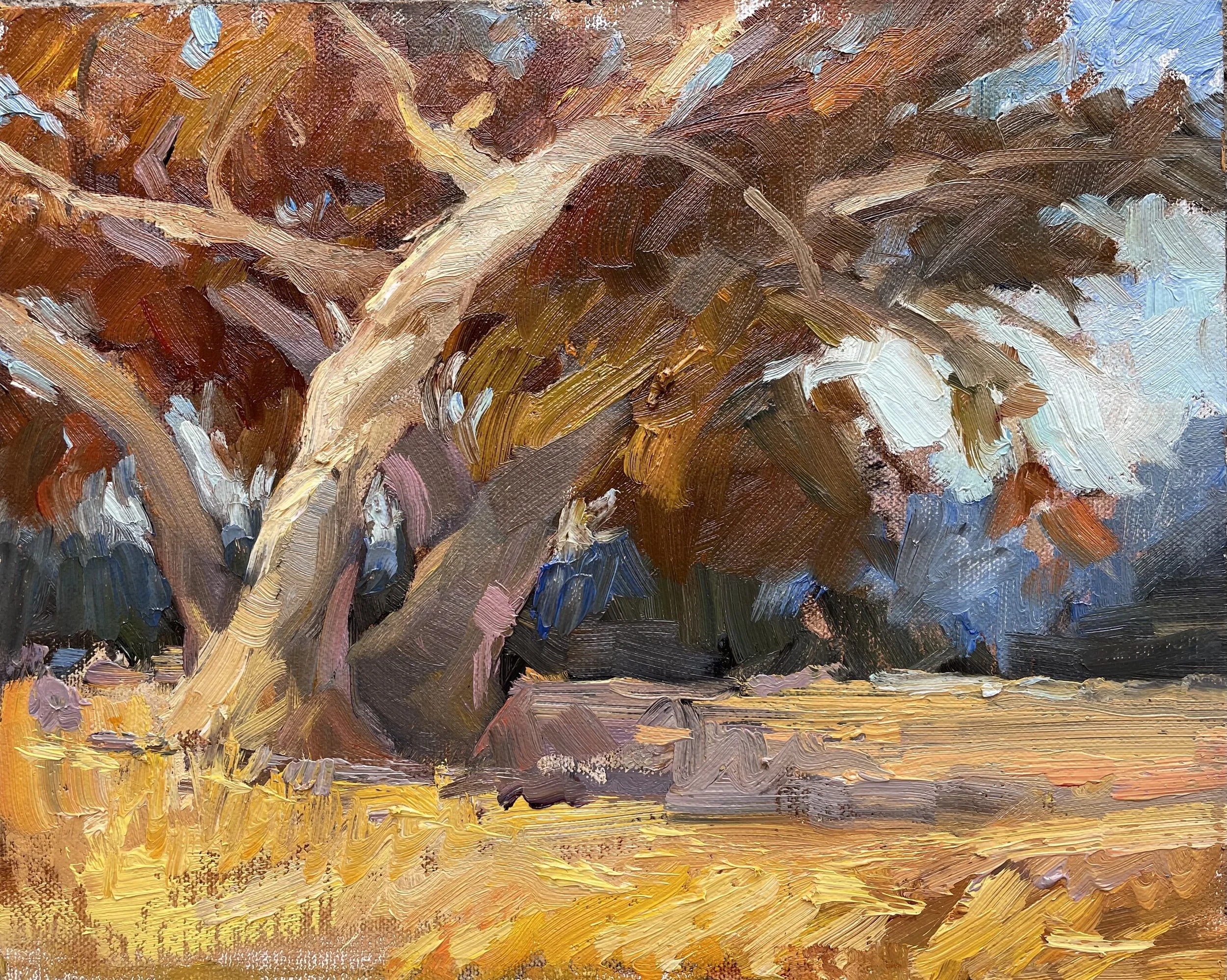 Steven McDonald Fine Art — Studio Seven Arts