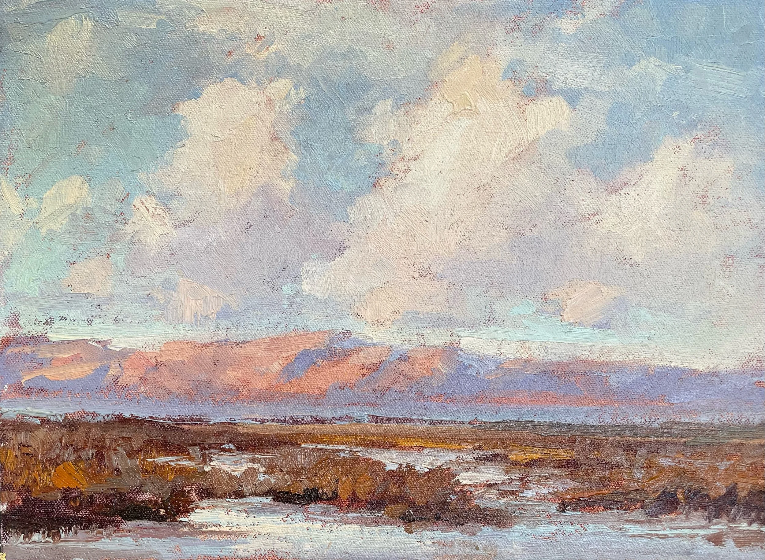 Steven McDonald Fine Art — Studio Seven Arts