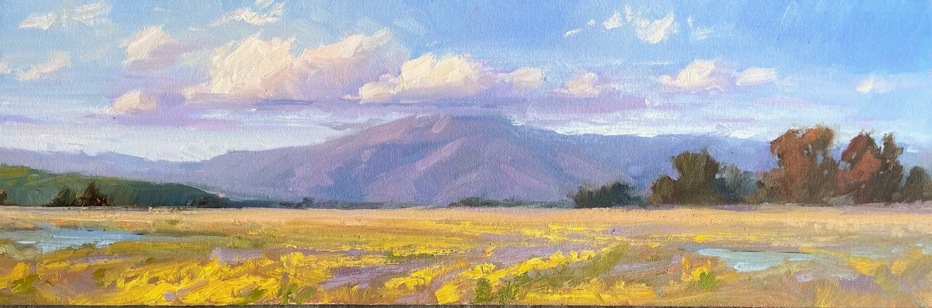 Steven McDonald Fine Art — Studio Seven Arts