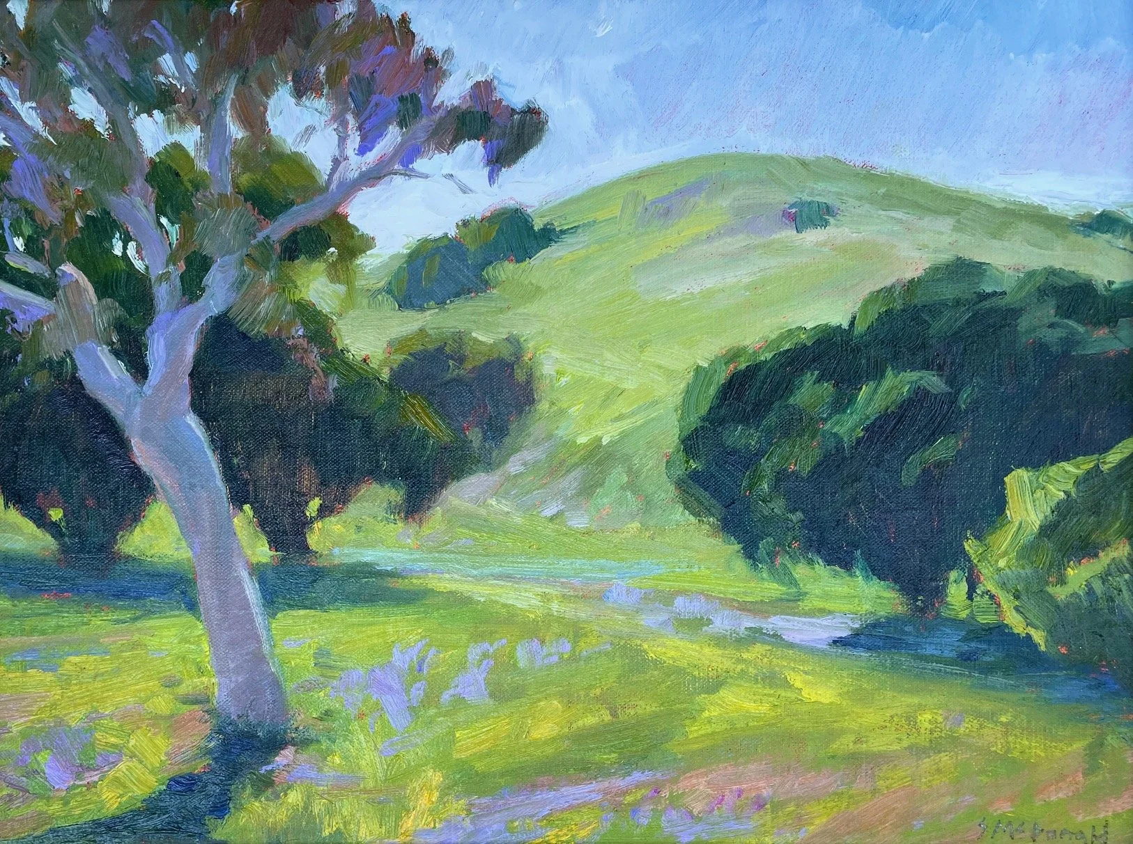 Steven McDonald Fine Art — Studio Seven Arts