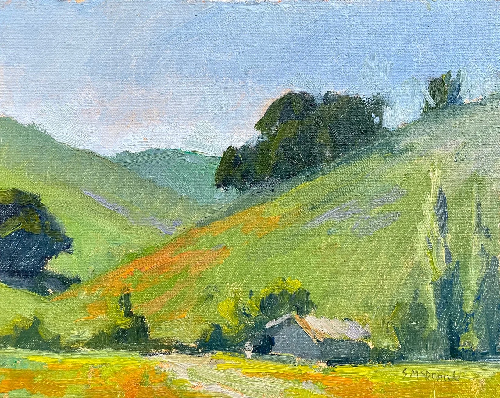 Steven McDonald Fine Art — Studio Seven Arts