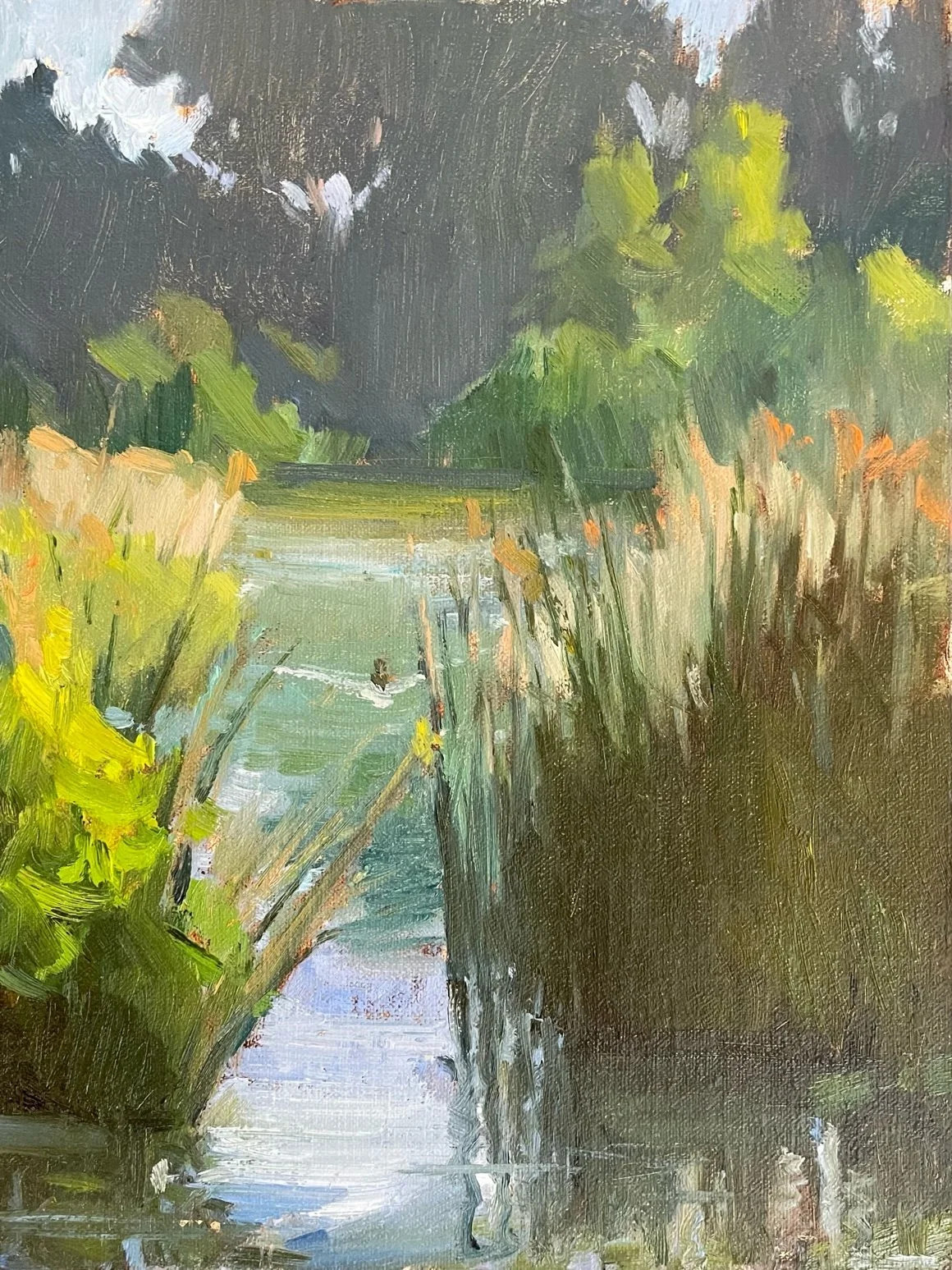 Steven McDonald Fine Art — Studio Seven Arts