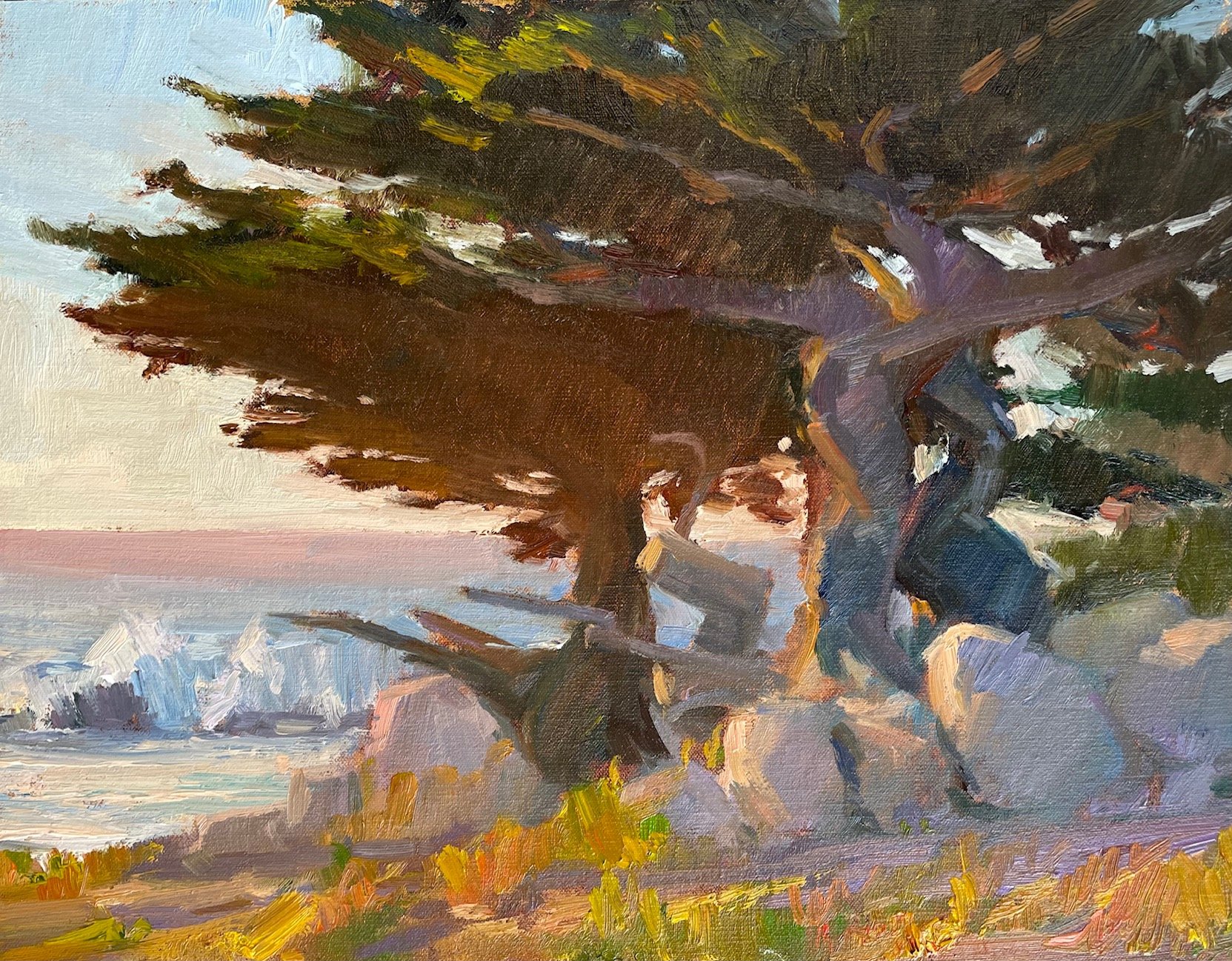 Steven McDonald Fine Art — Studio Seven Arts