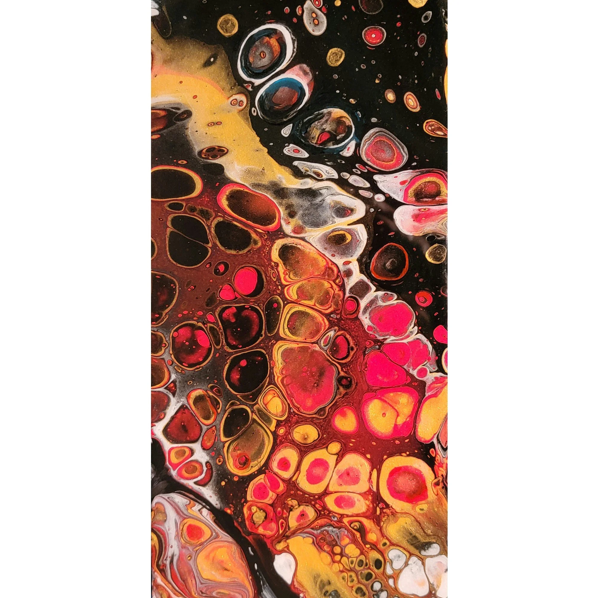 Fine Art — Studio Seven Arts