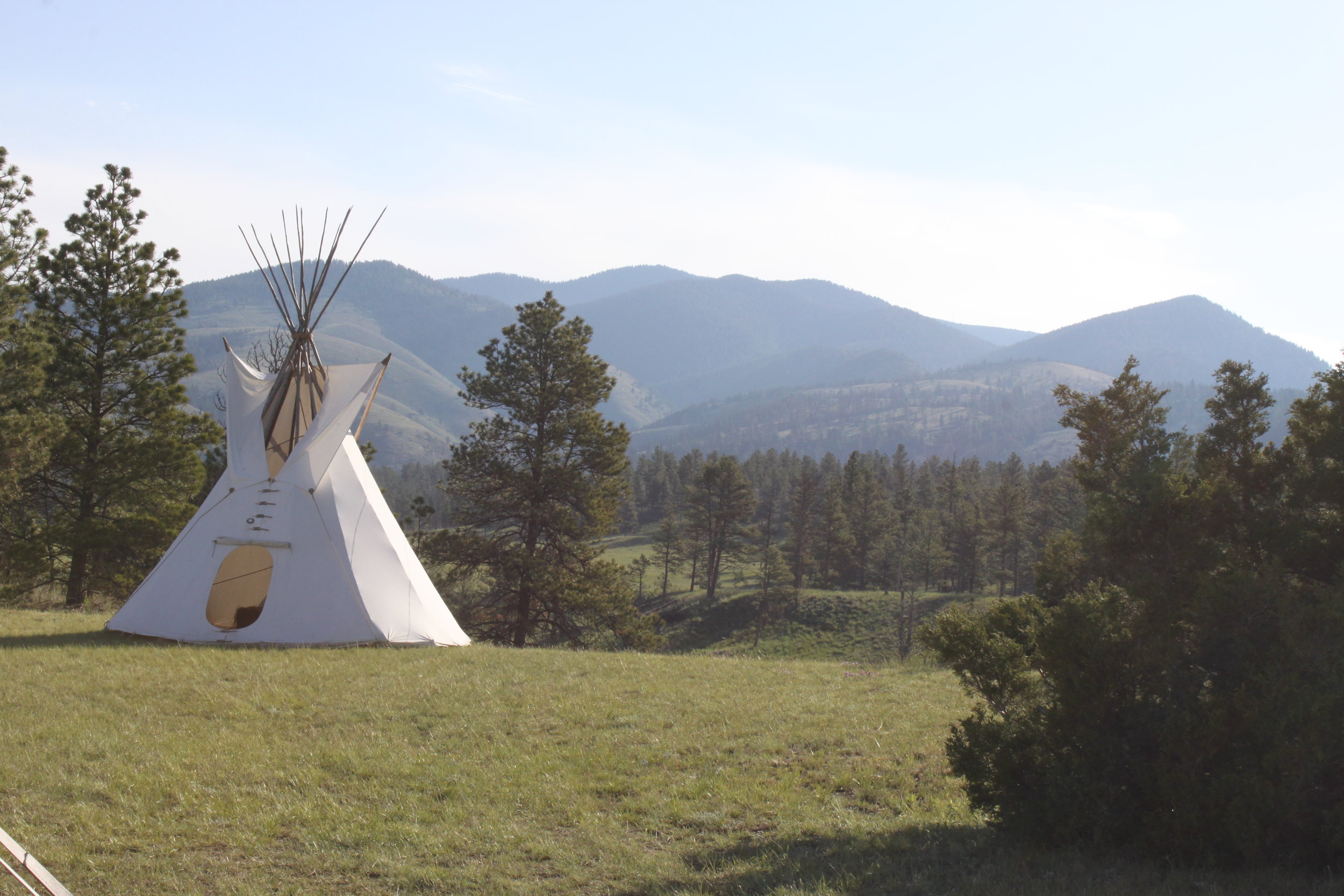 Photo Gallery — Summer Star Ranch