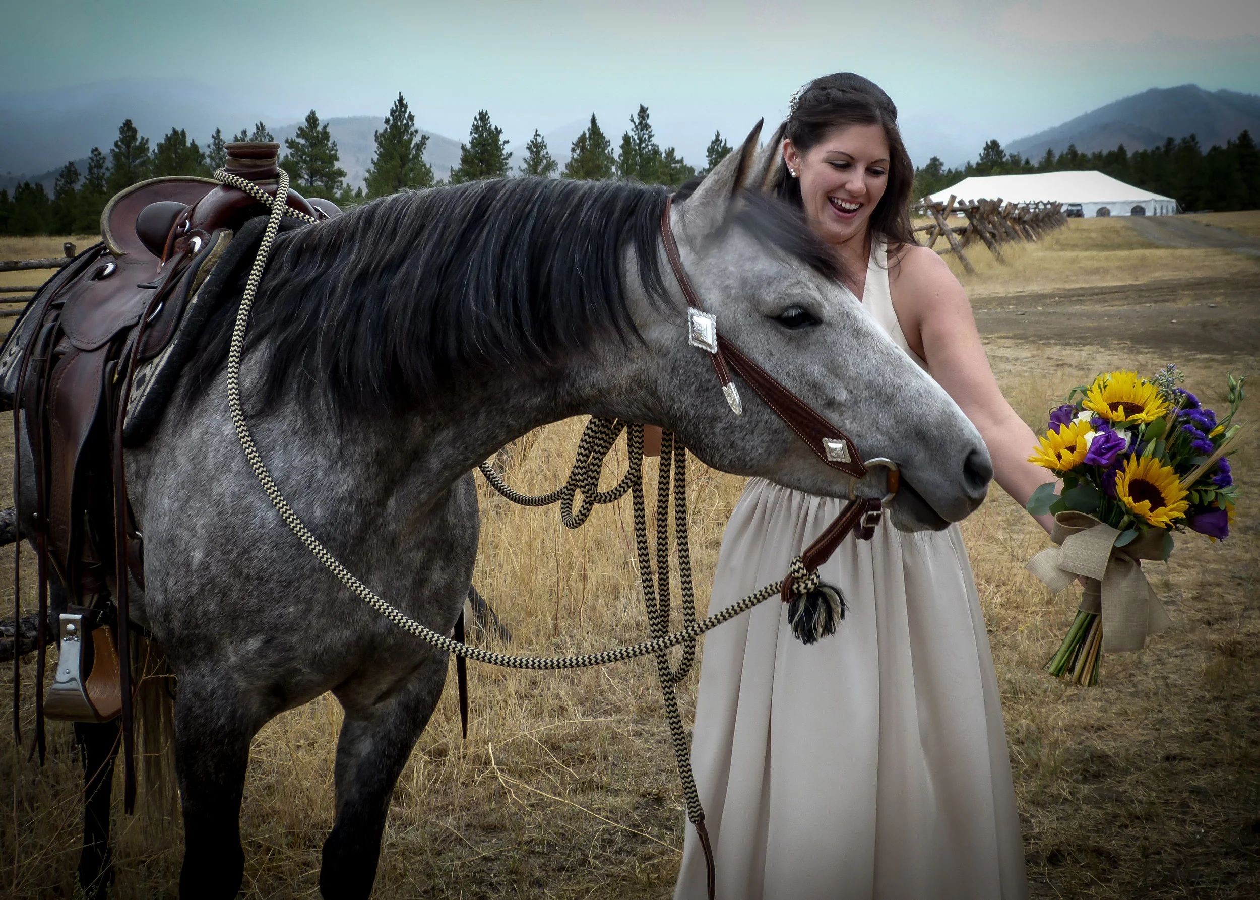 Photo Gallery — Summer Star Ranch