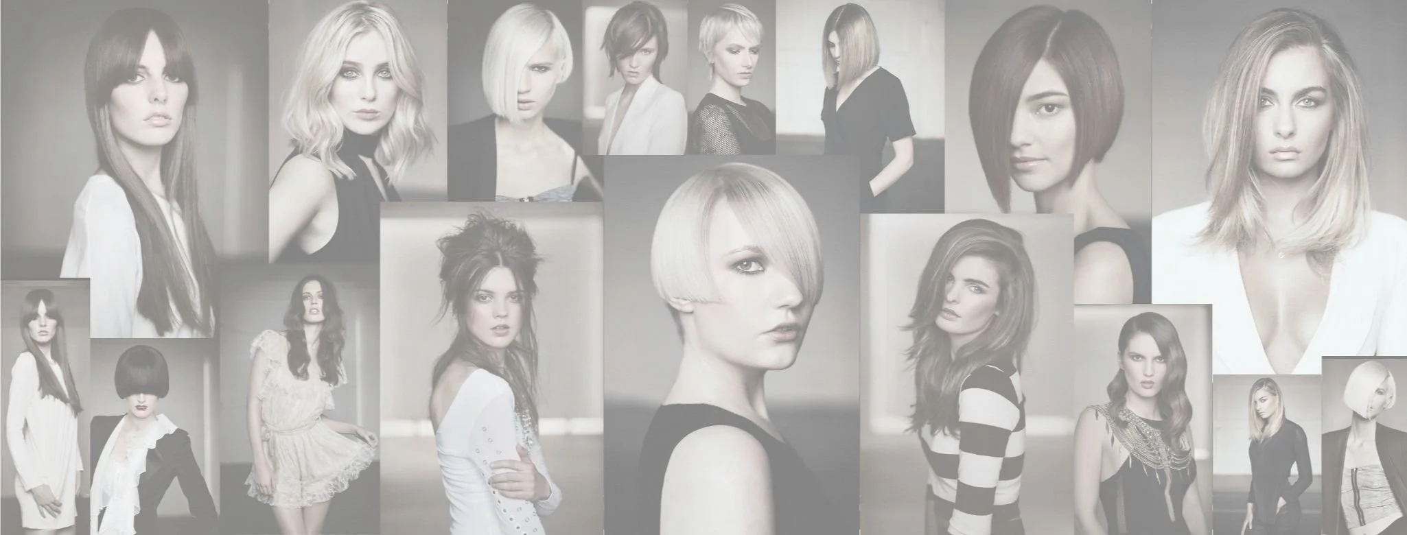 Hairdressing Live — Elements Hairdressing Book | 365-Page Training Manual