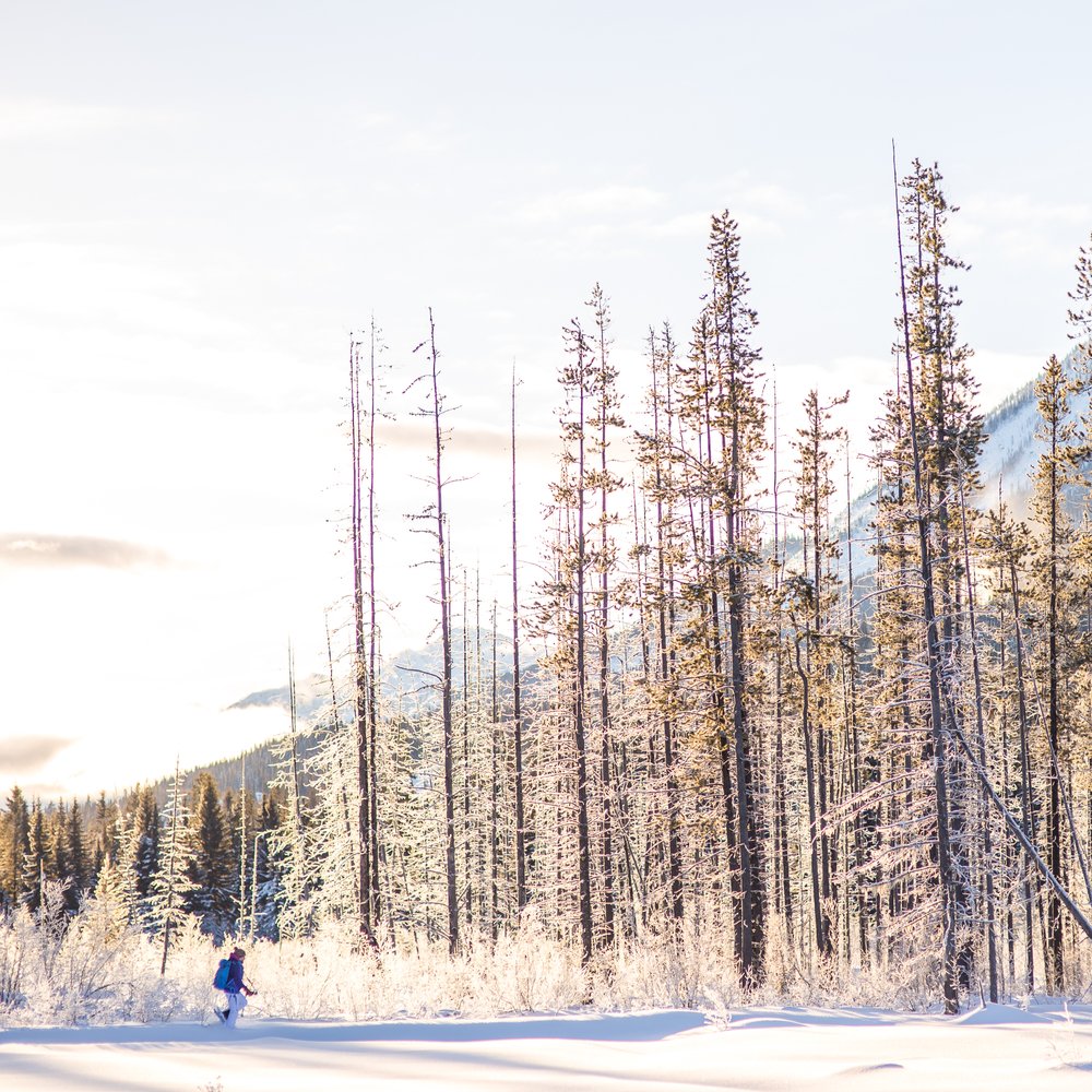 Dawn Mountain Nordic Centre — Golden Nordic Ski Club