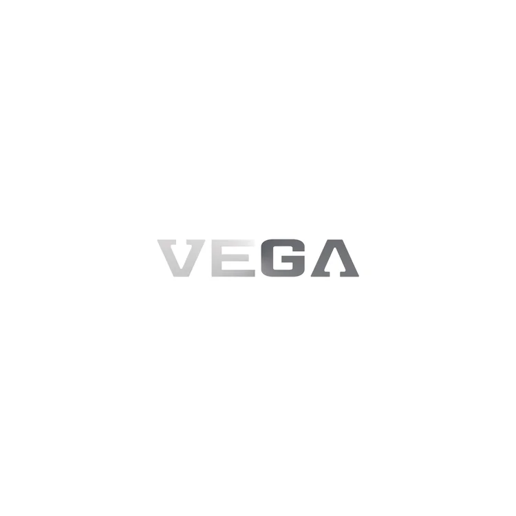 VEGA MOTORWORKS