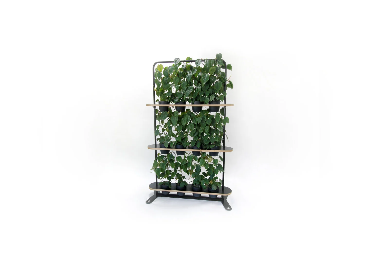 Mobile Plant Wall | SmartSpace Workspace Solutions