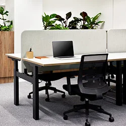 Best Sit to Stand Desk NZ - Rubix Electric | SmartSpace NZ