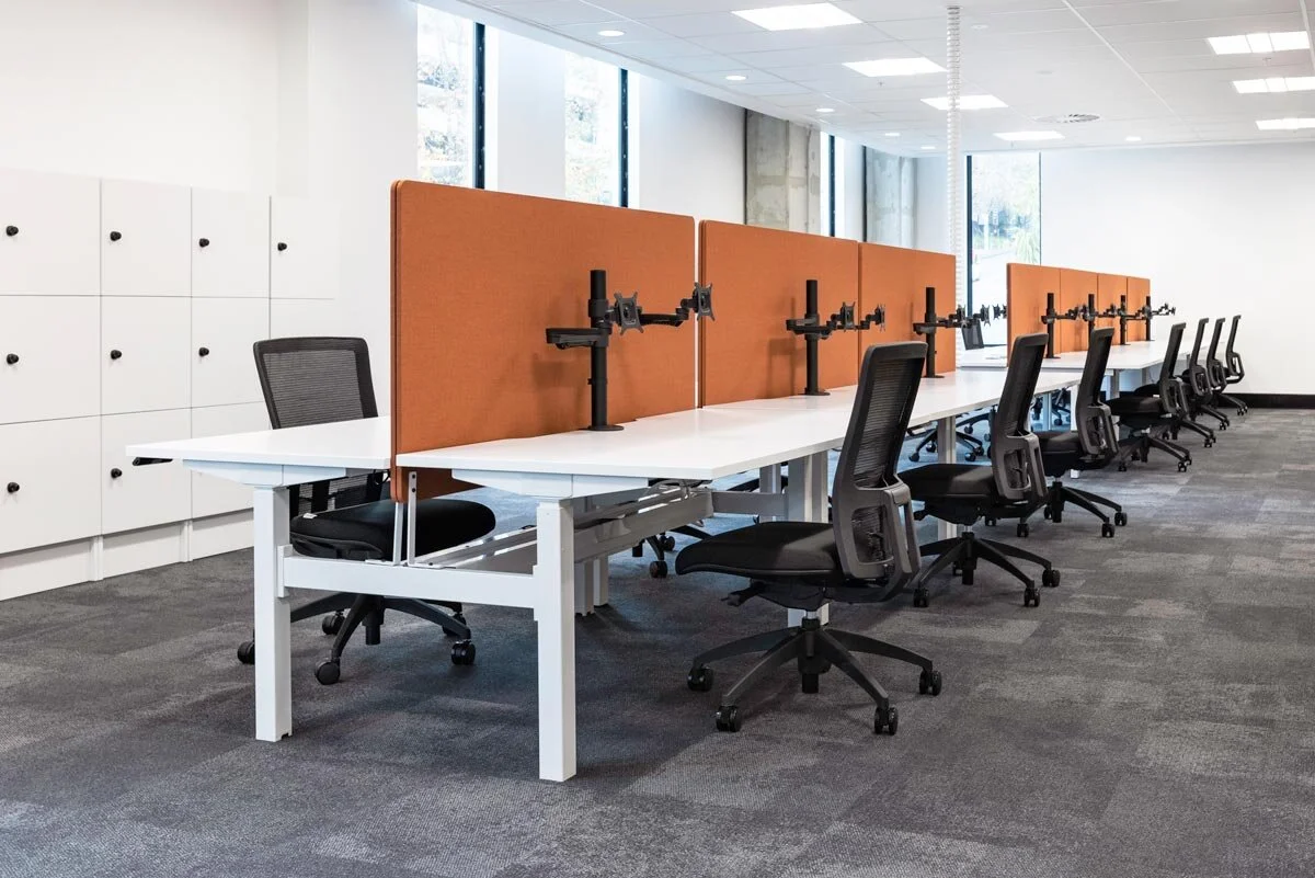 Frameless Desk Mounted Screens - System 25 | SpaceSpace NZ