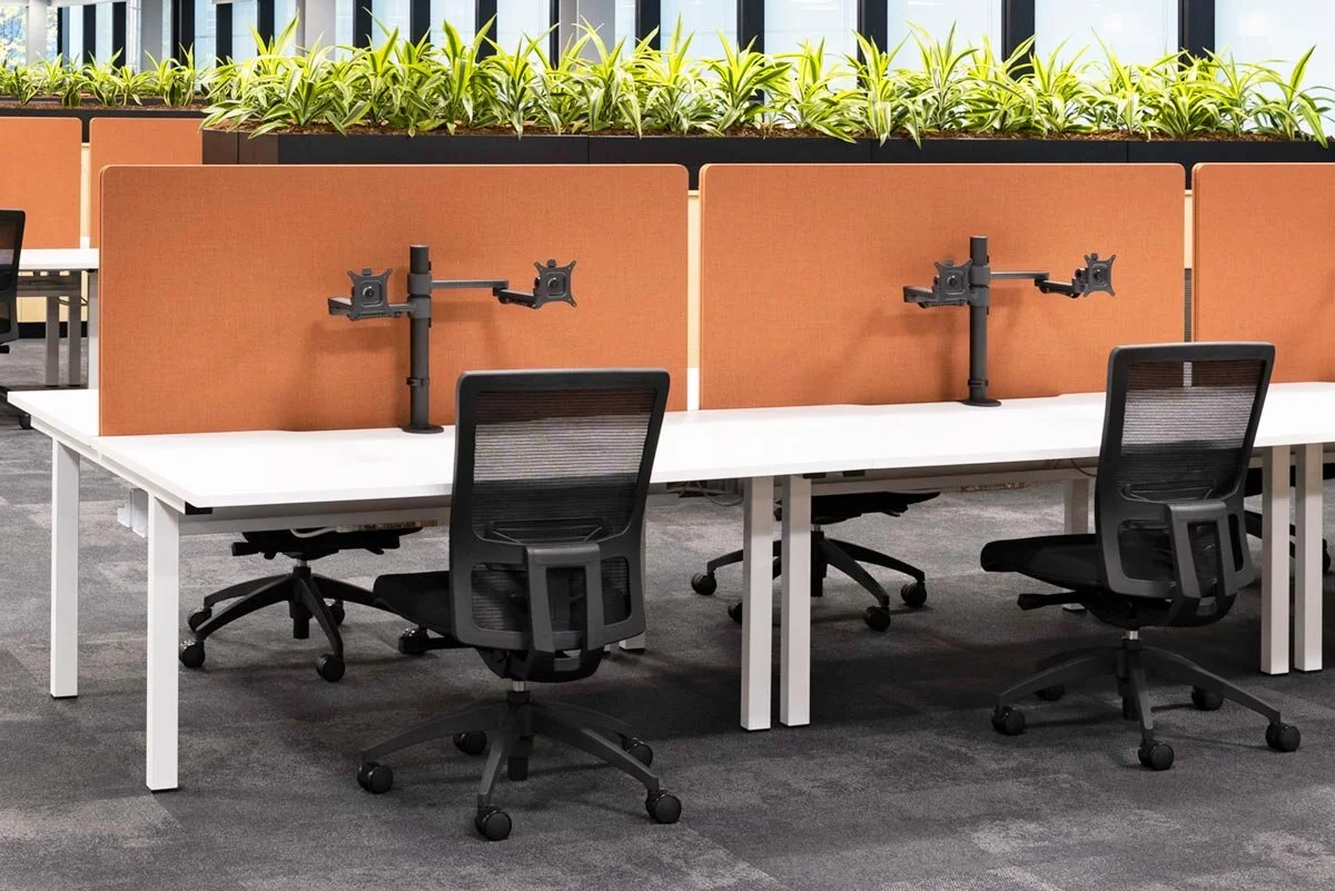 Frameless Desk Mounted Screens - System 25 | SpaceSpace NZ