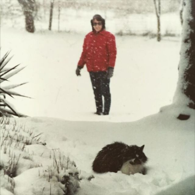 Contact | Glacial Pace