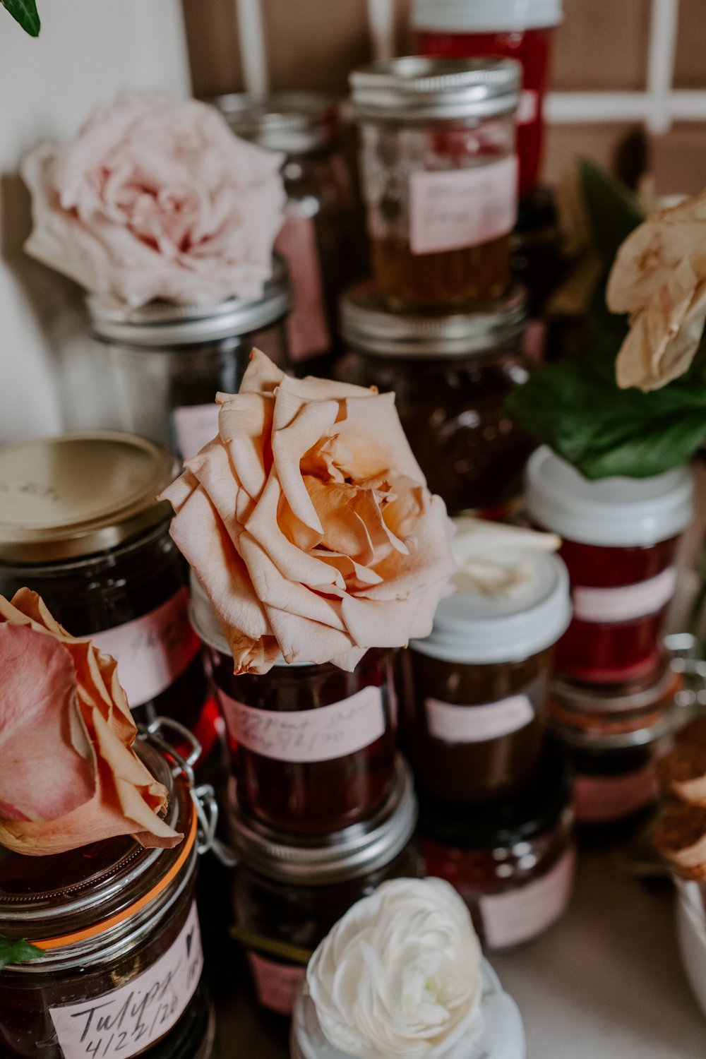 30 Days of Natural Inks – A Deep Dive into Botanical Color — Tanya Val ...