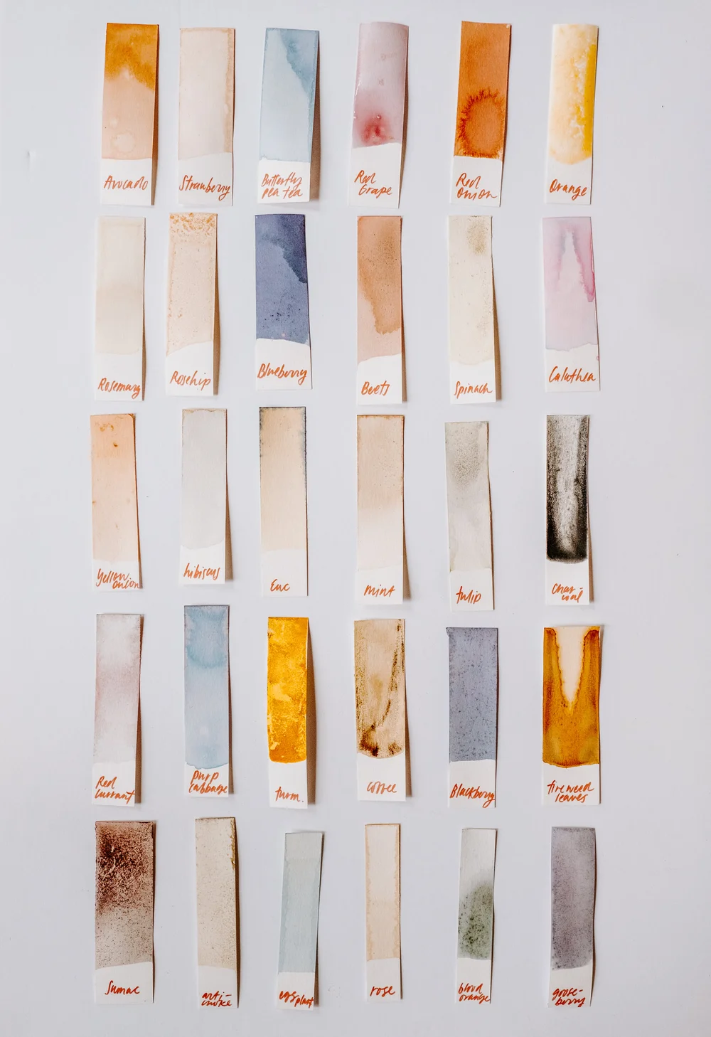30 Days of Natural Inks – A Deep Dive into Botanical Color — Tanya Val ...