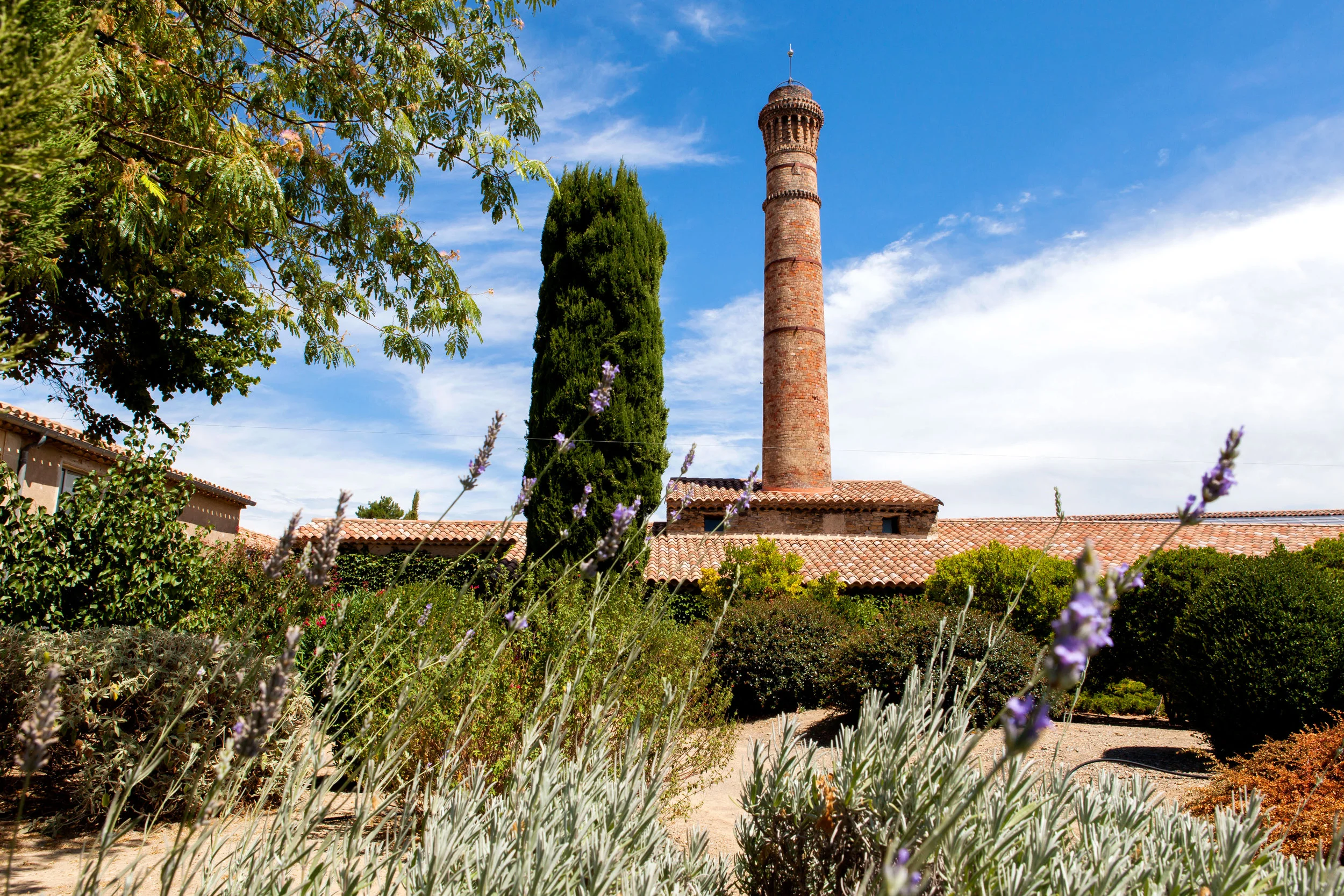 The CAZES family a way of life — POLLEN