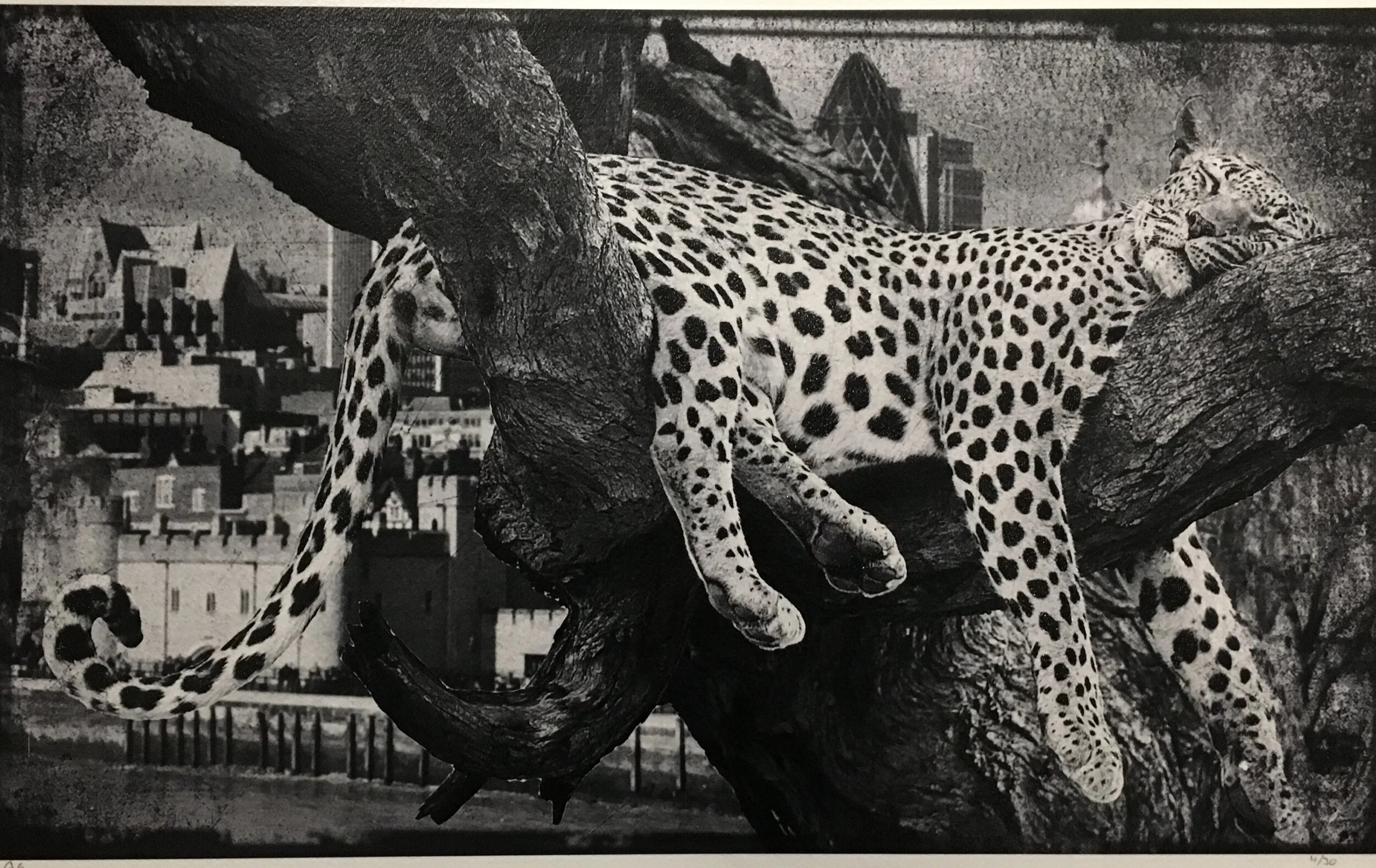 Lars Tunebo | Liberty Gallery — liberty-gallery