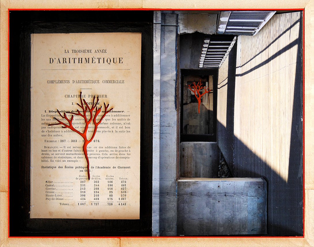 Franc Bloomfield | Liberty Gallery — liberty-gallery