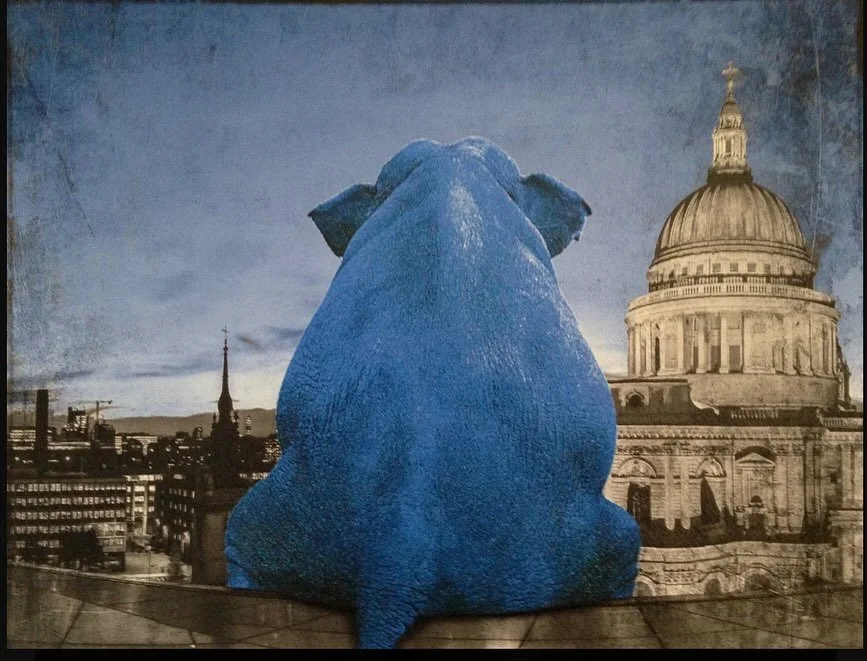 Artists | Liberty Gallery — liberty-gallery