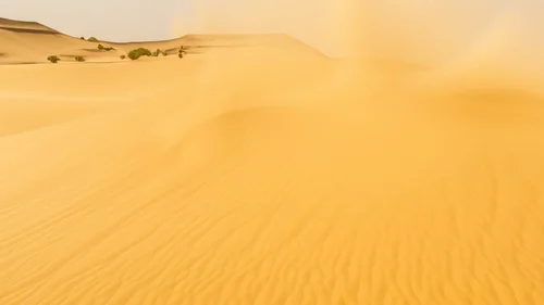 Yellow Dust Invades North and South Korea — Crossing Borders - Helping ...