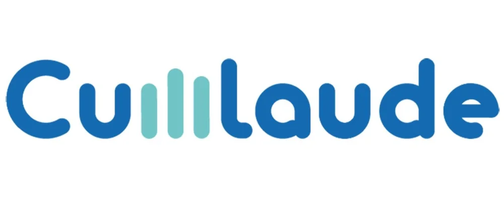 CumLaude: van overzicht naar inzicht