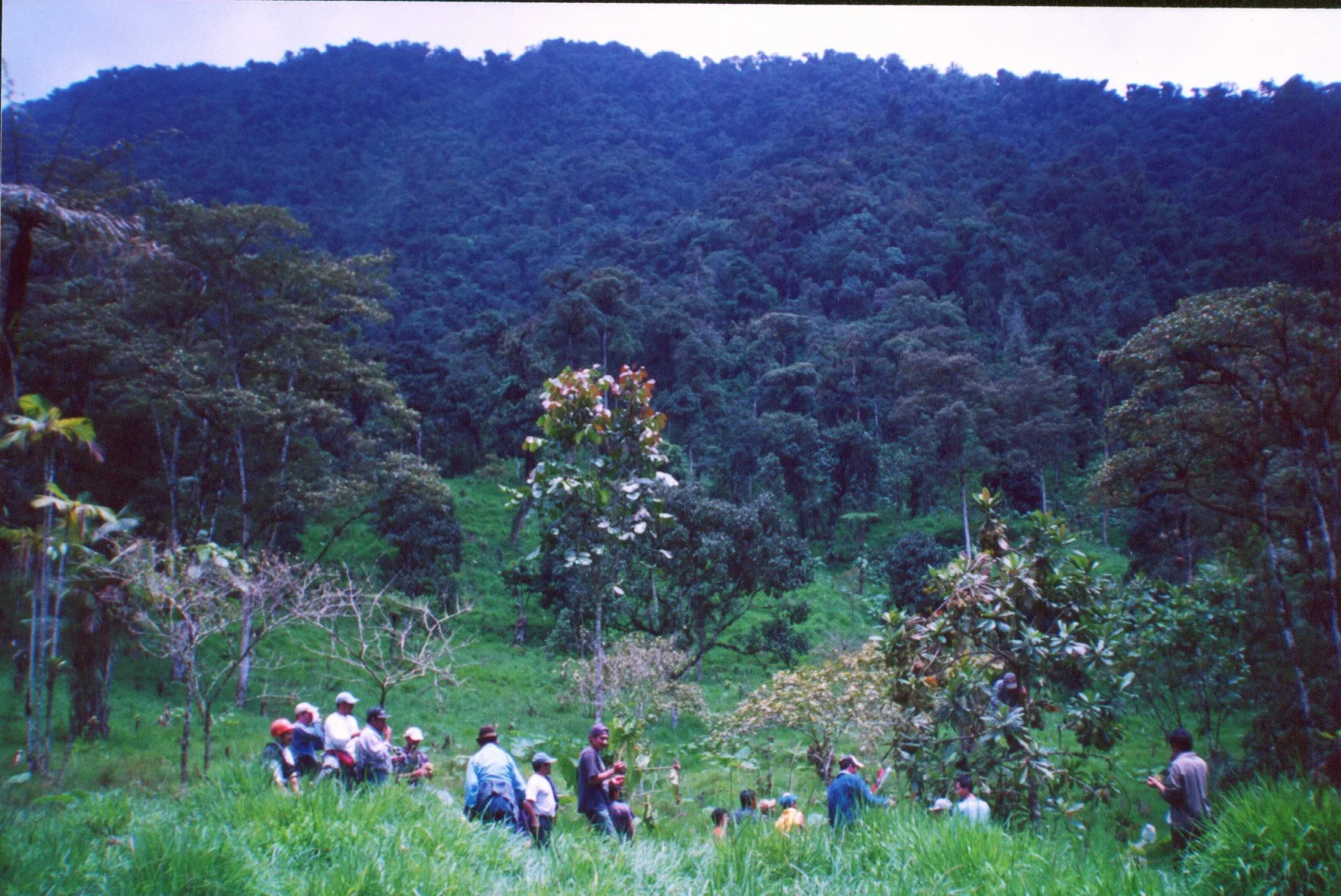 Laboratorio de Restauración Bosques del Chocó Andino — ALDEA