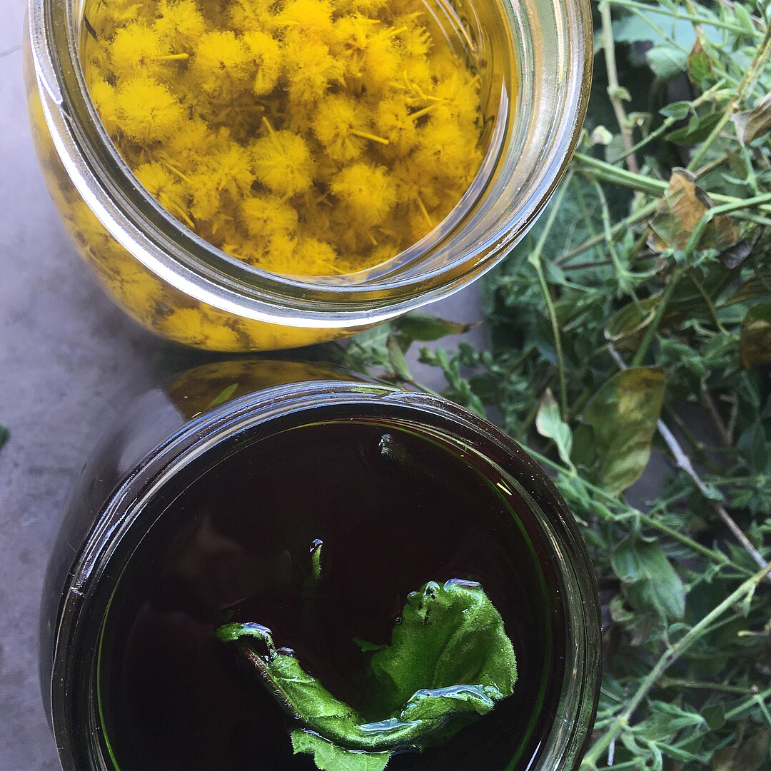 About — dryland wilds