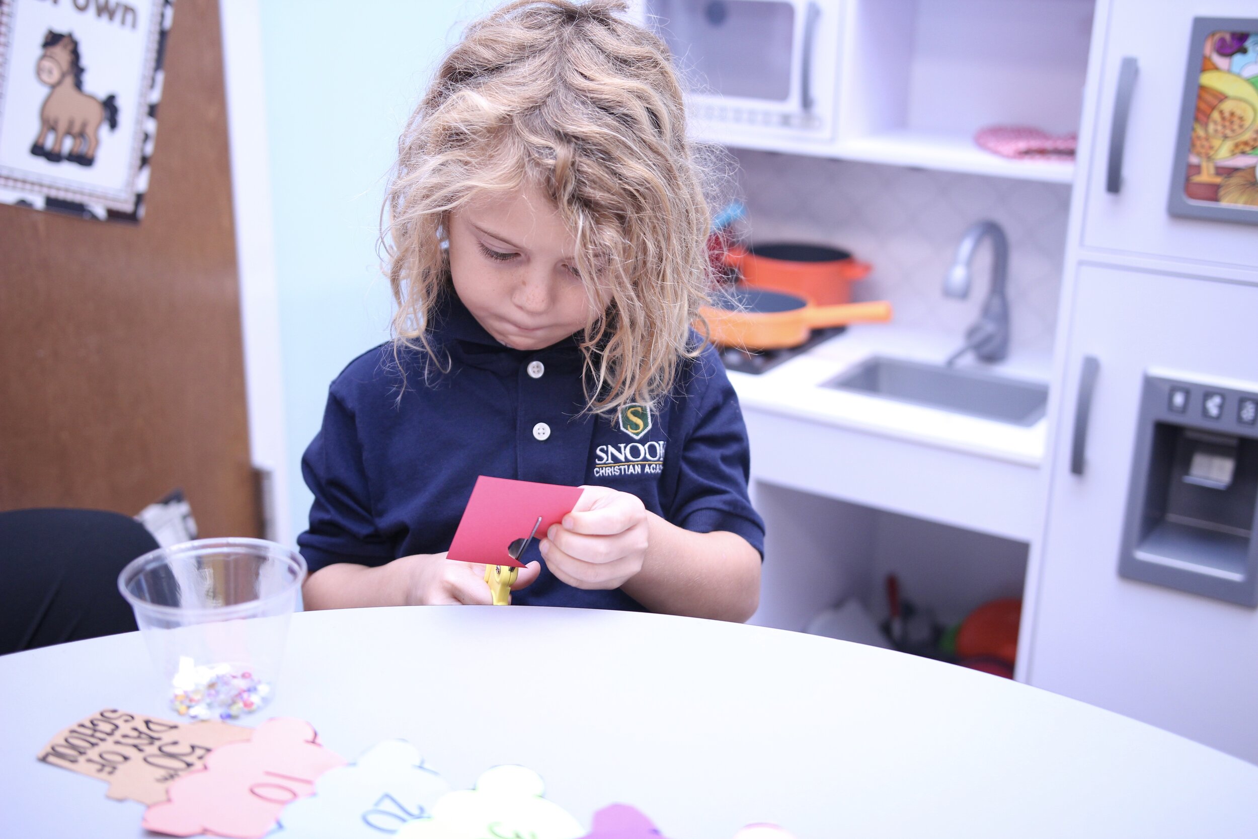 ABOUT US — Snook Christian Academy