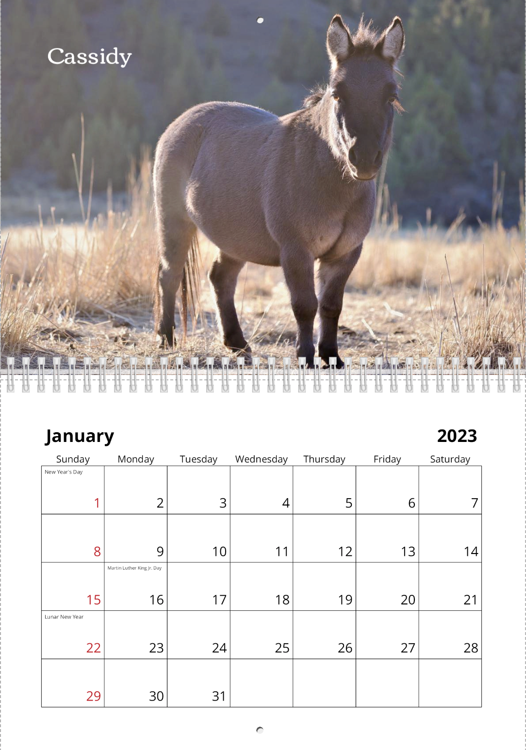 Store — Skydog Ranch & Sanctuary