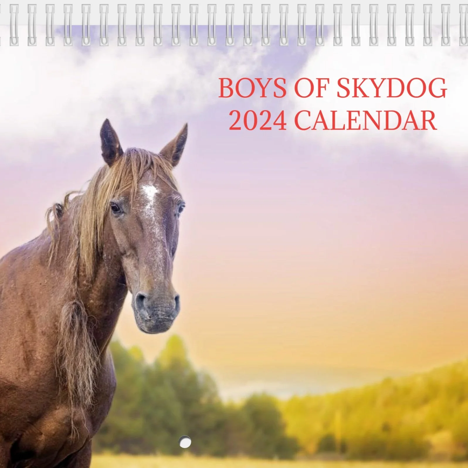 Store — Skydog Ranch & Sanctuary