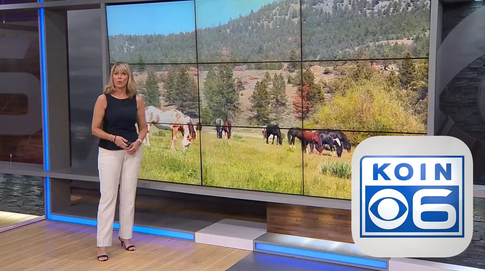 In The News — Skydog Ranch & Sanctuary