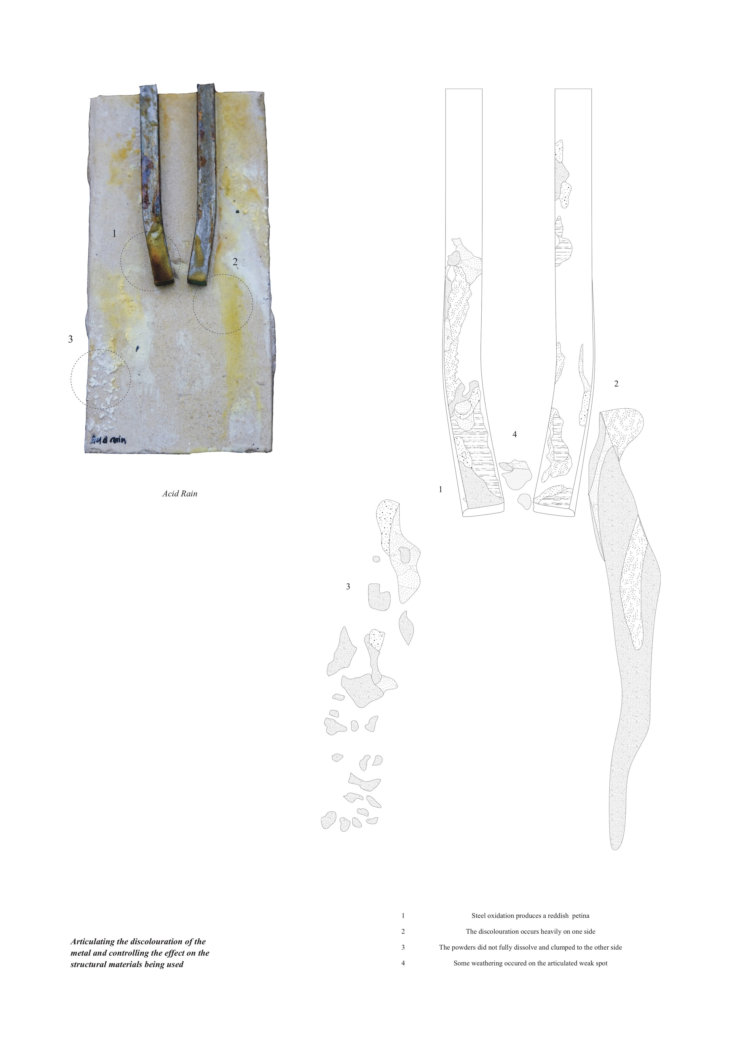 Models — Sonia Syed