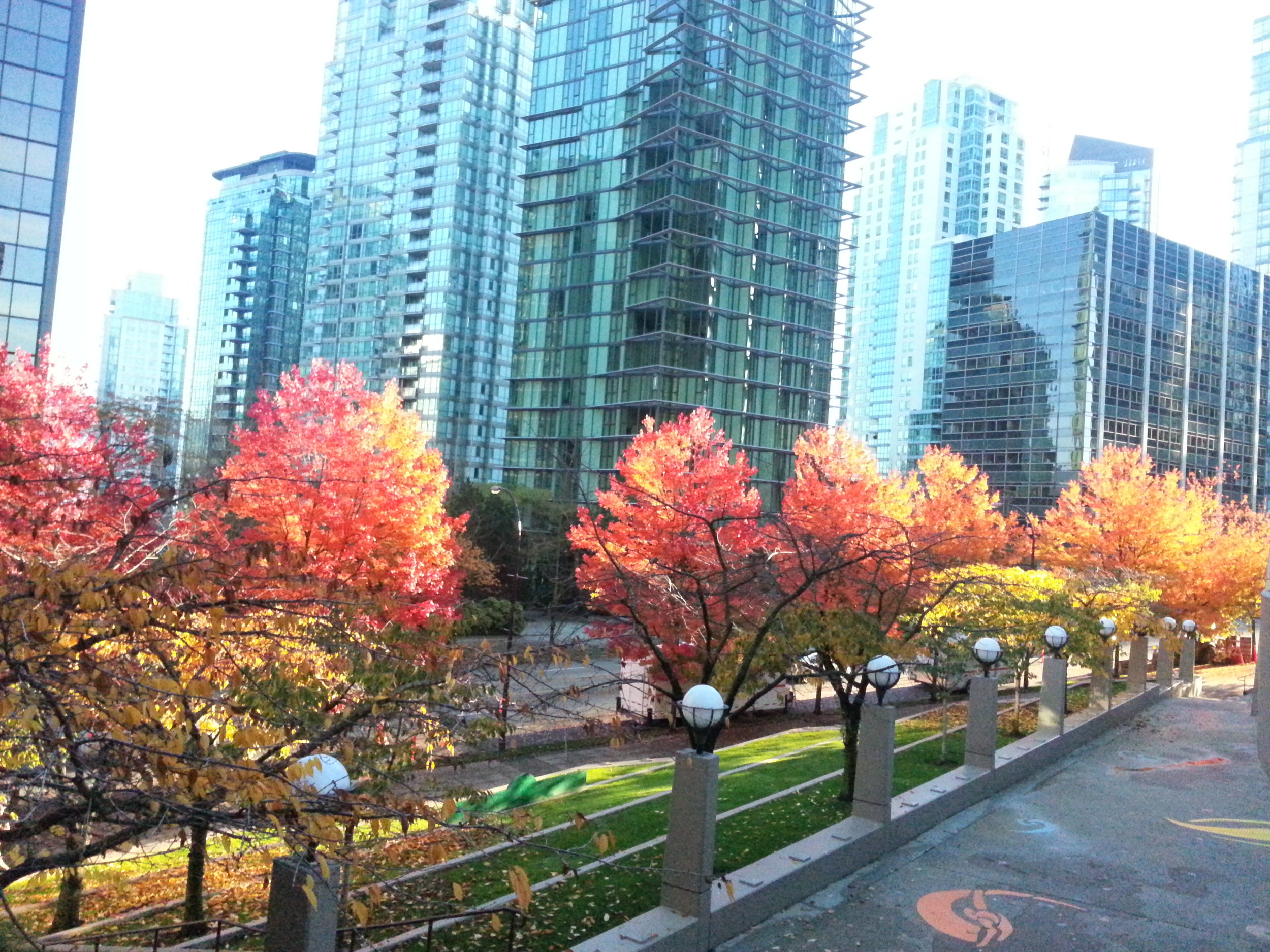 Reach Up For The Sunrise