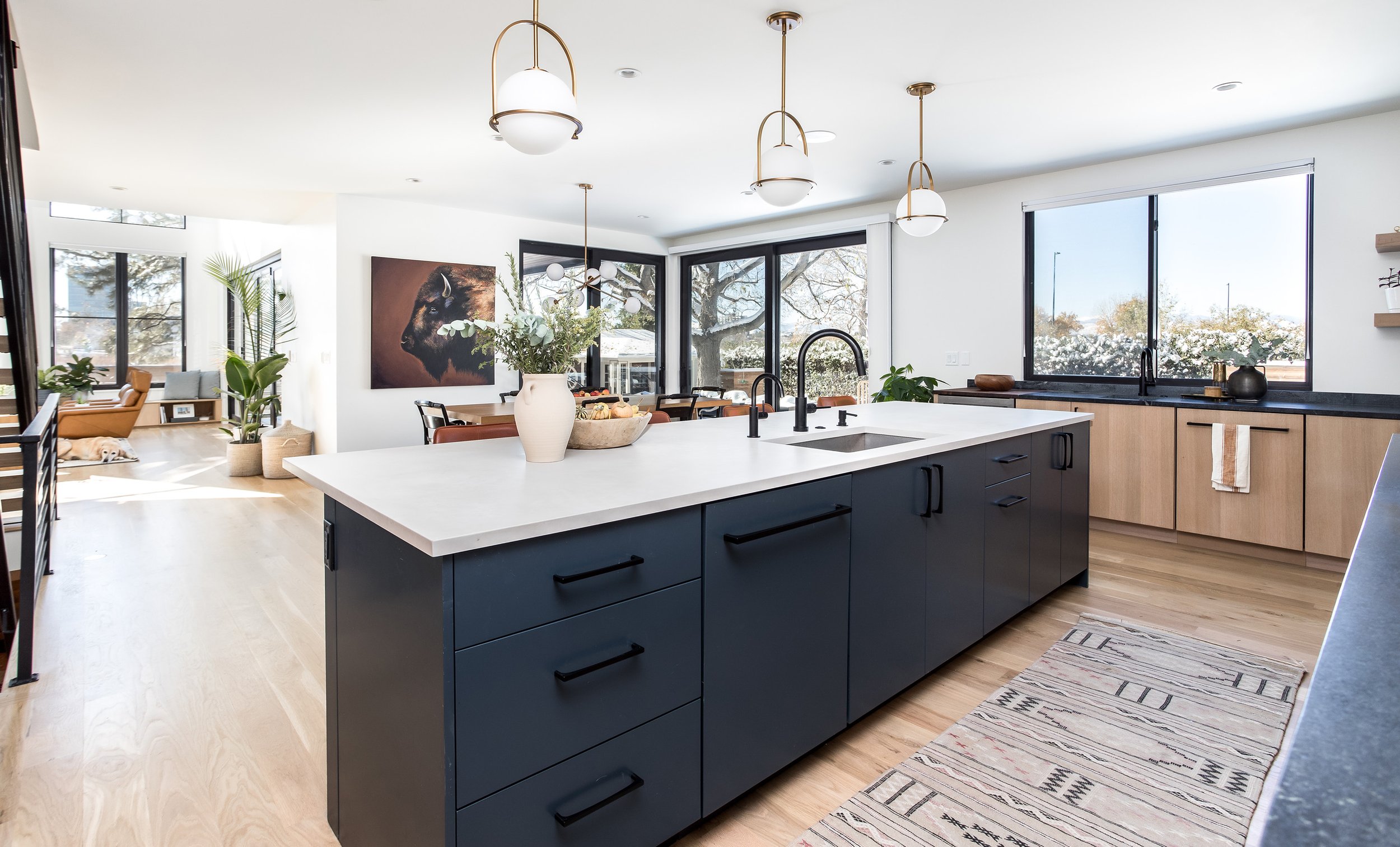 Shape Architecture Studio — Sloan's Lake House