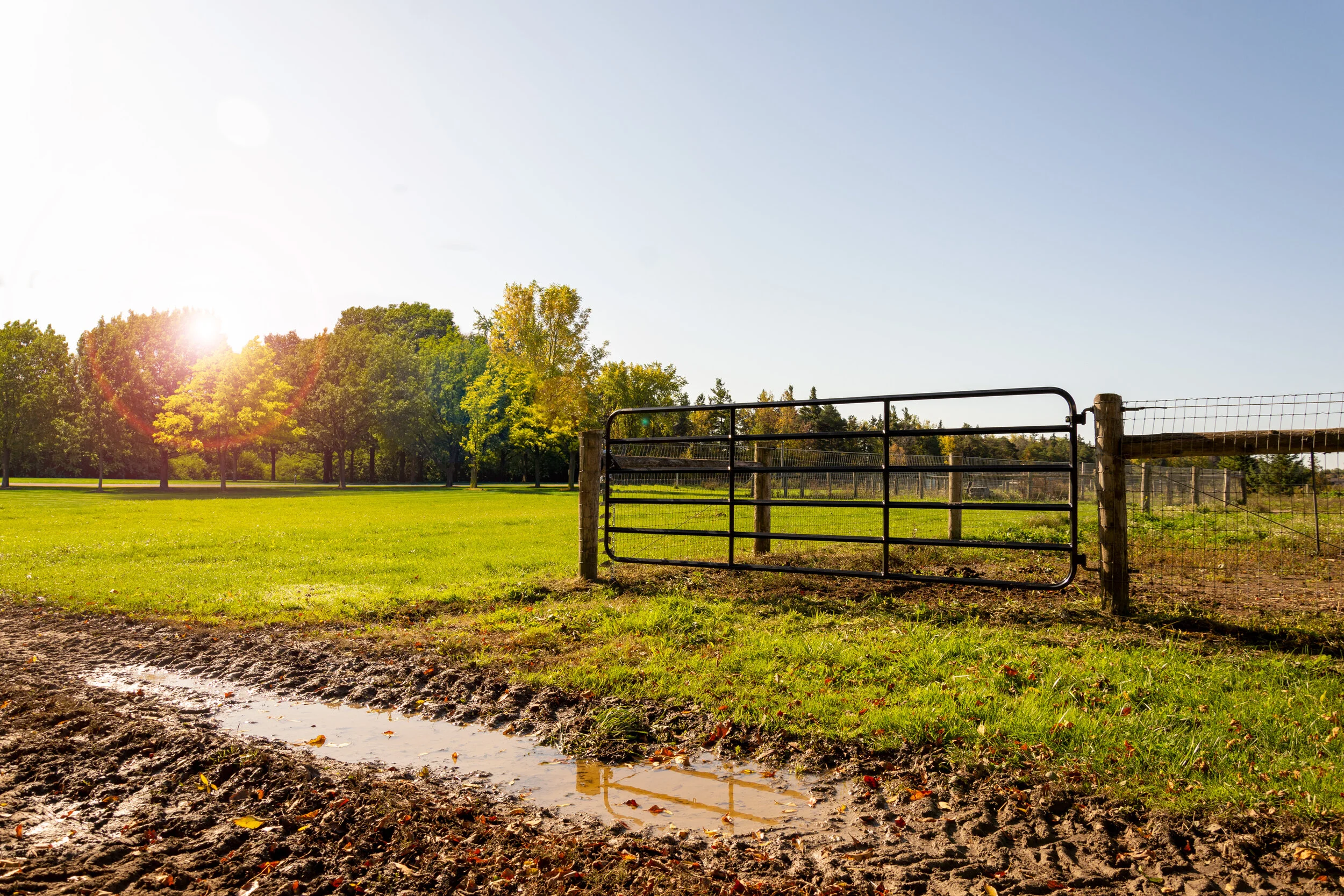 Black Diamond Gates — Diamond Bar Gates