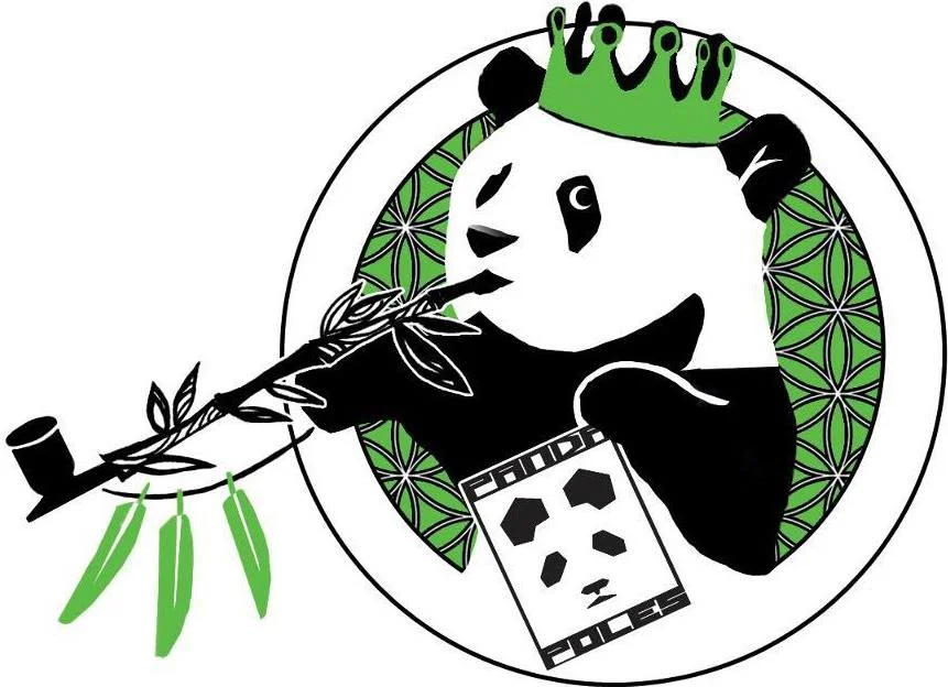 Panda Ski Poles | RY Outfitters