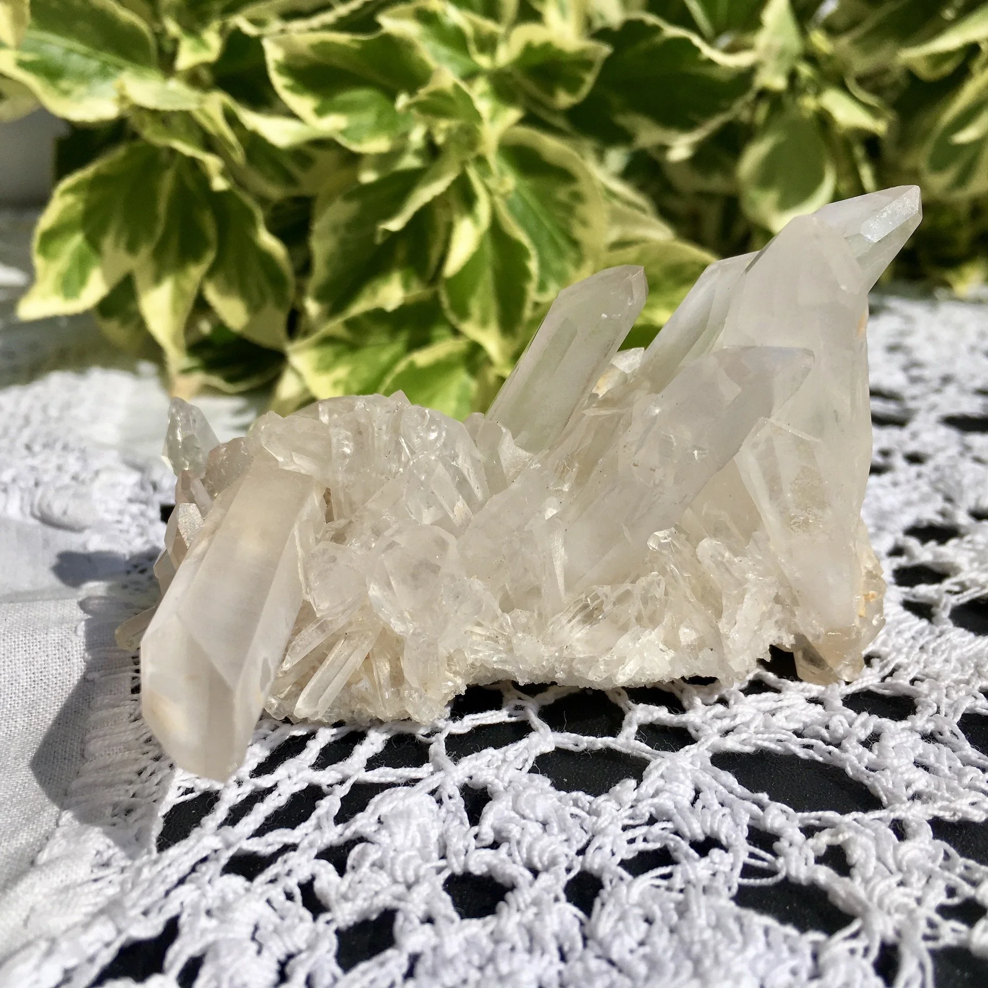 Crystal Clusters - Quartz-sue weaver