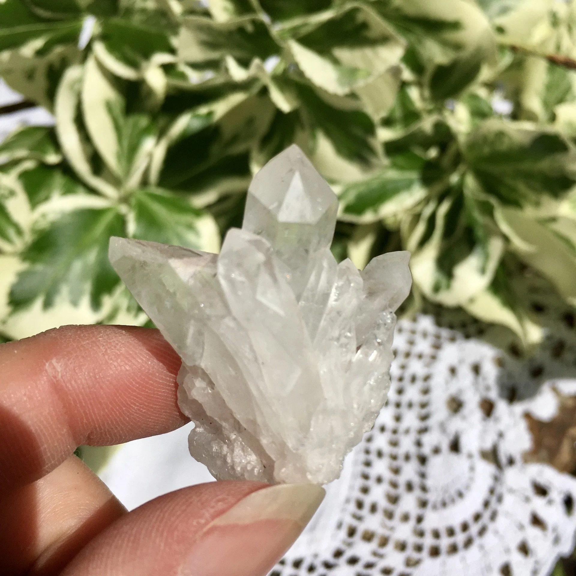 Crystal Clusters - Quartz-sue weaver