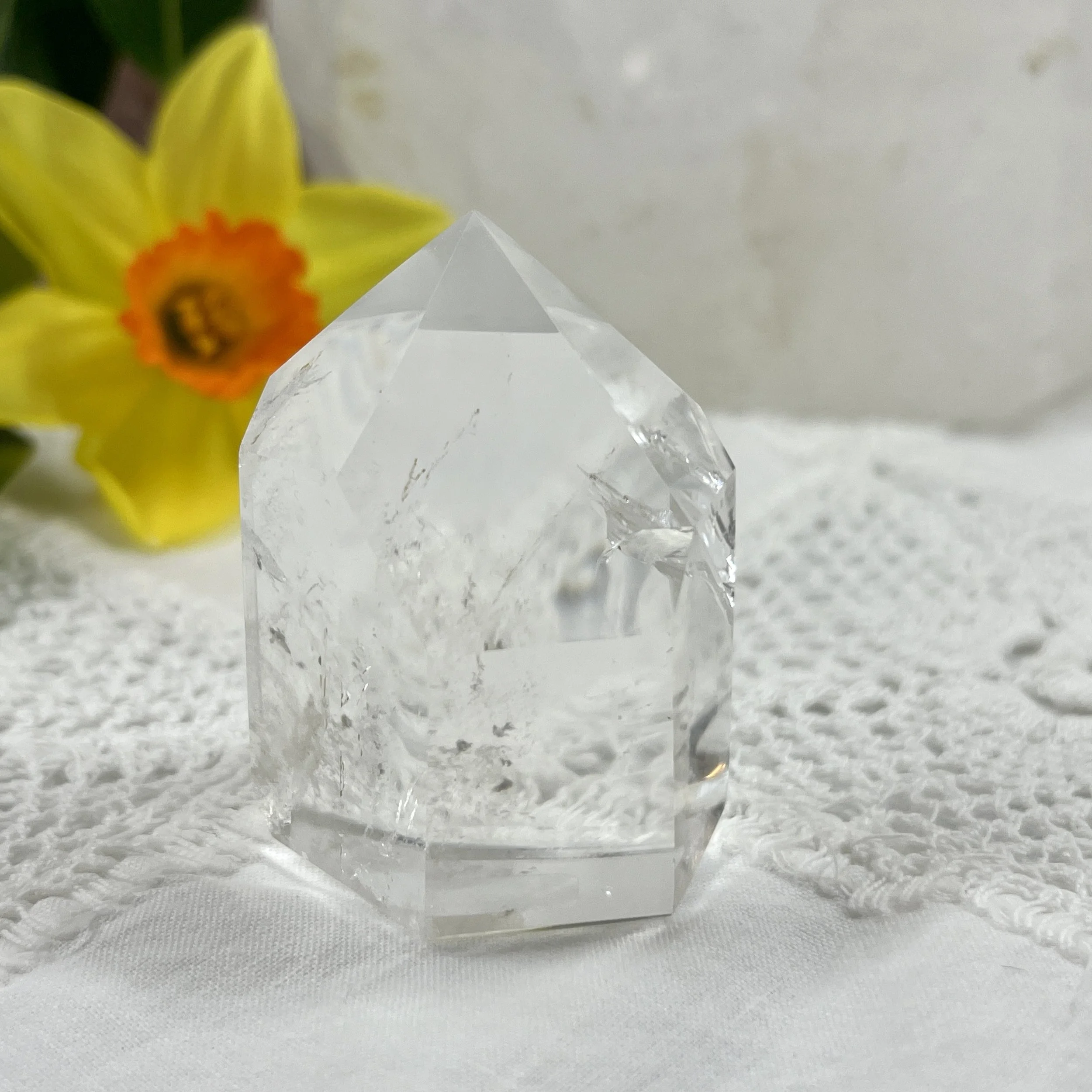 Cut Base Standing Q-sue weaver