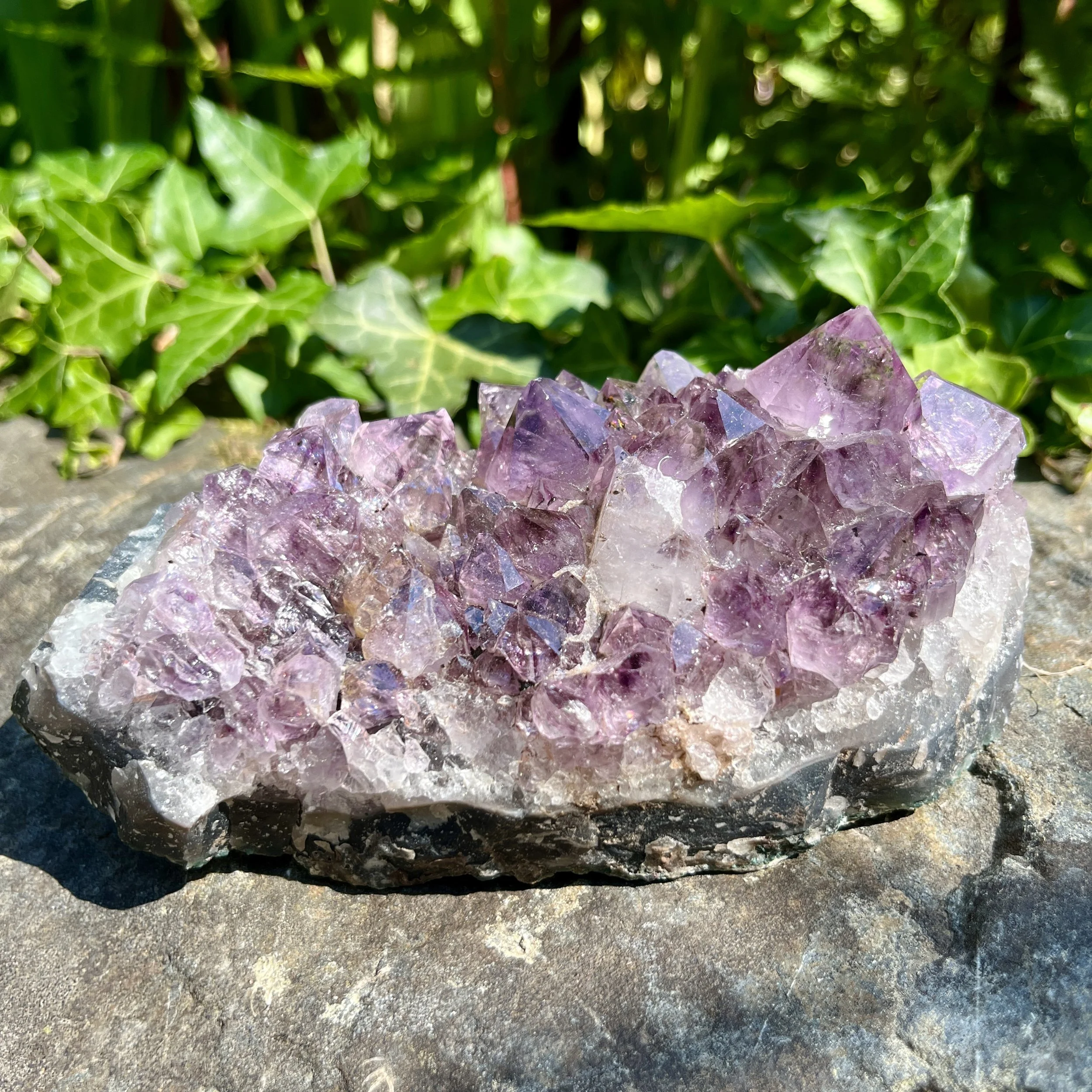 Crystal Clusters - Amethyst-sue weaver