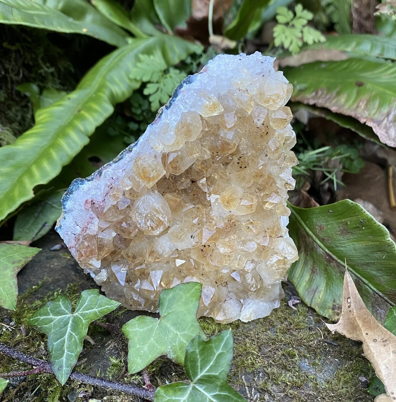 Crystal Clusters - Citrine-sue weaver