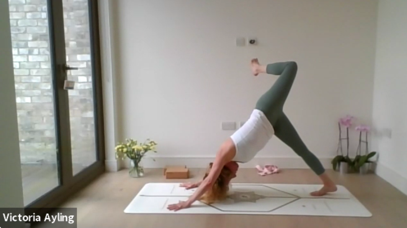 Yoga in Ealing & LIVE on Zoom - Ealing Yoga Classes via Zoom