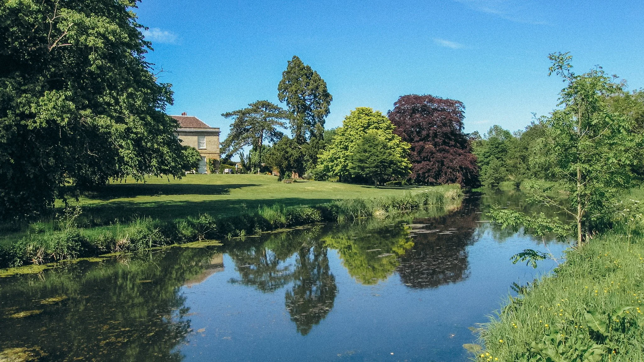 Yoga in Ealing & LIVE on Zoom - norfolk 2025