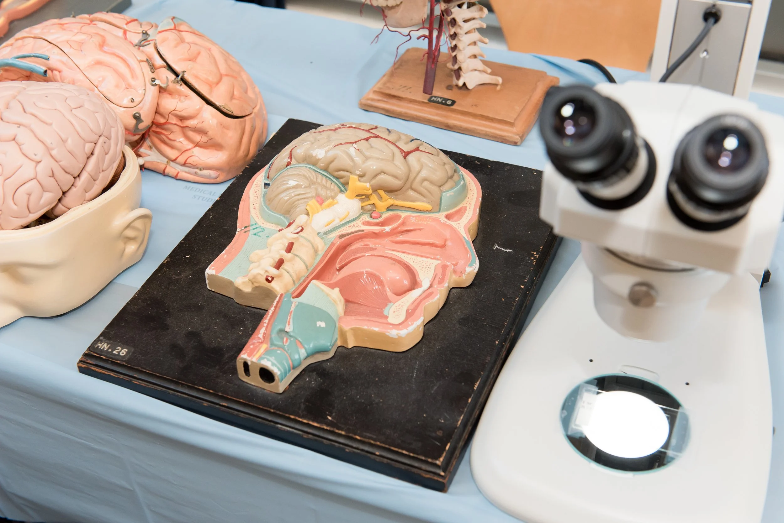 BAW Calendar of Events — Brain Awareness Week - Halifax