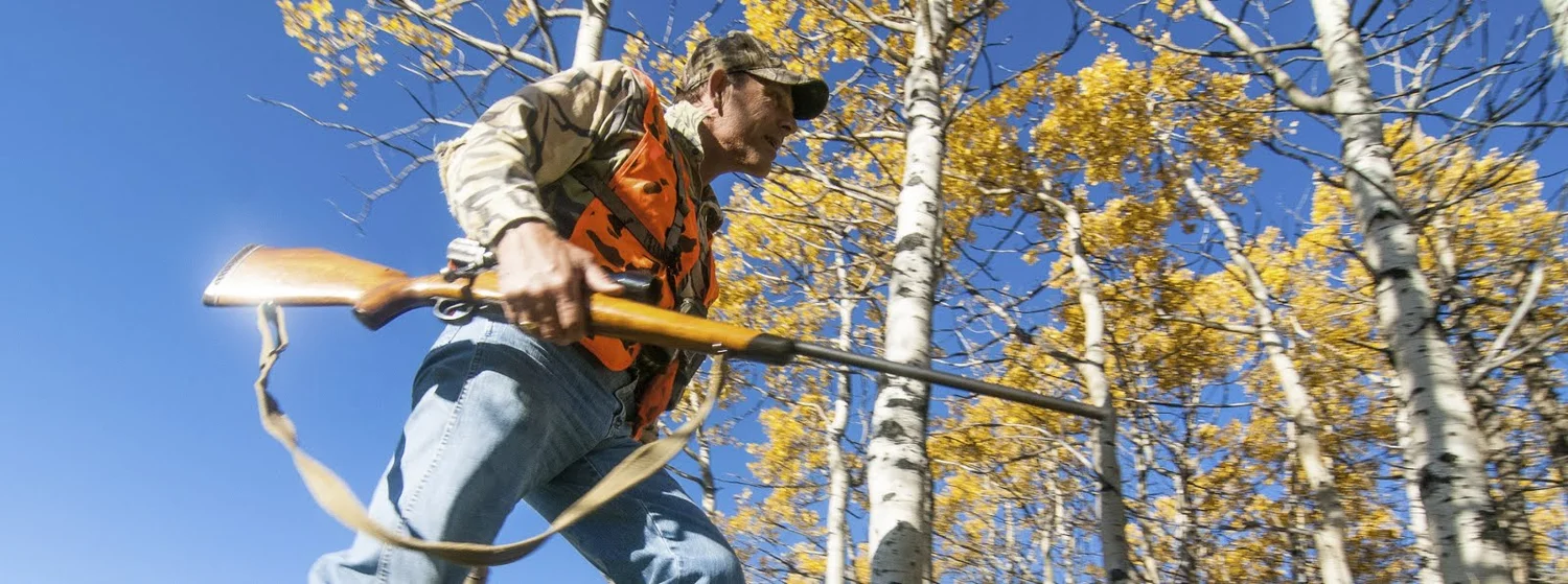 Hunting Photographer - 8 tips to improve your hunting photography ...