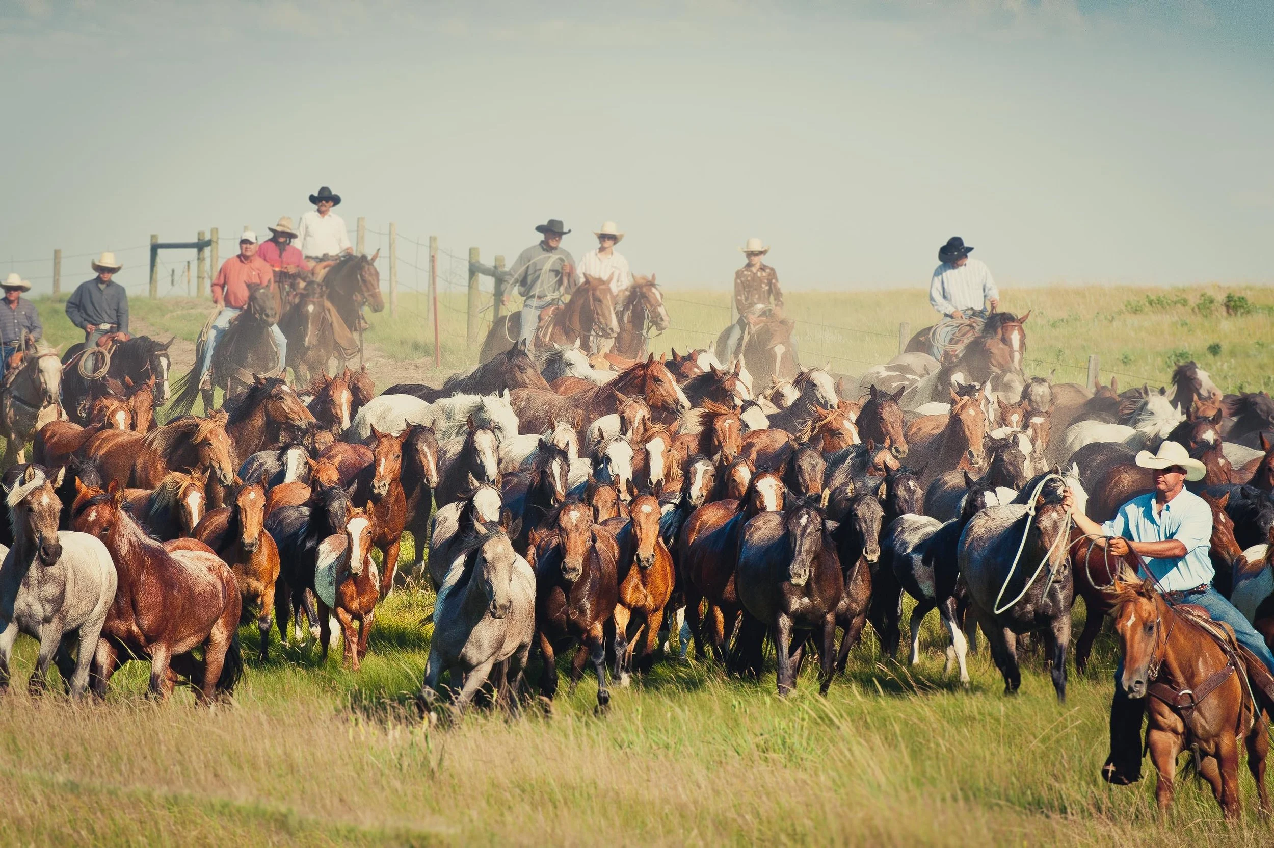 Tony Bynum Photography