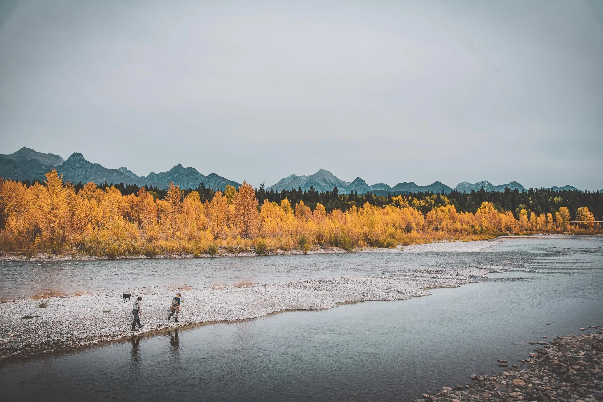 Blog — Tony Bynum Photography