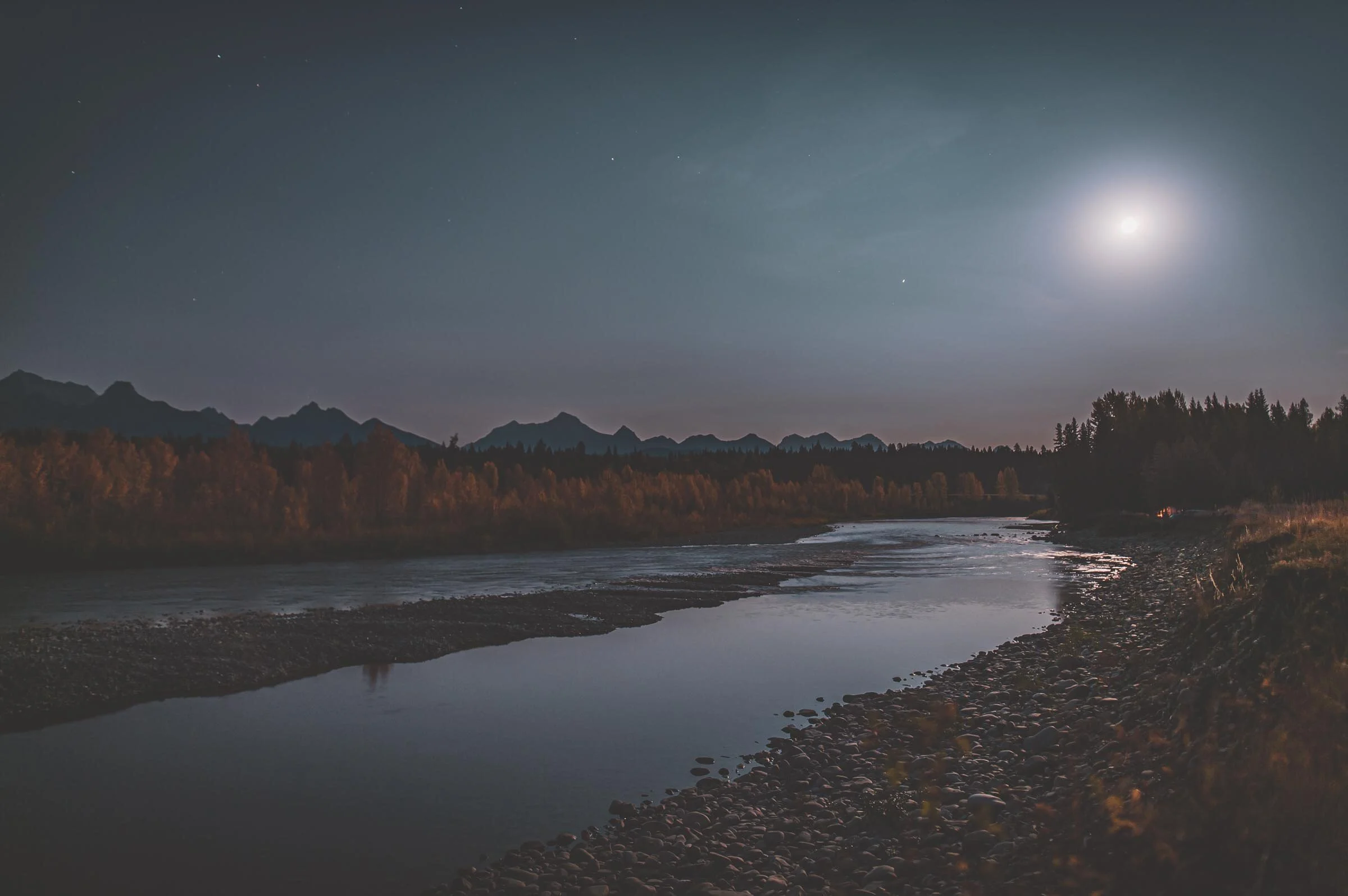 Blog — Tony Bynum Photography
